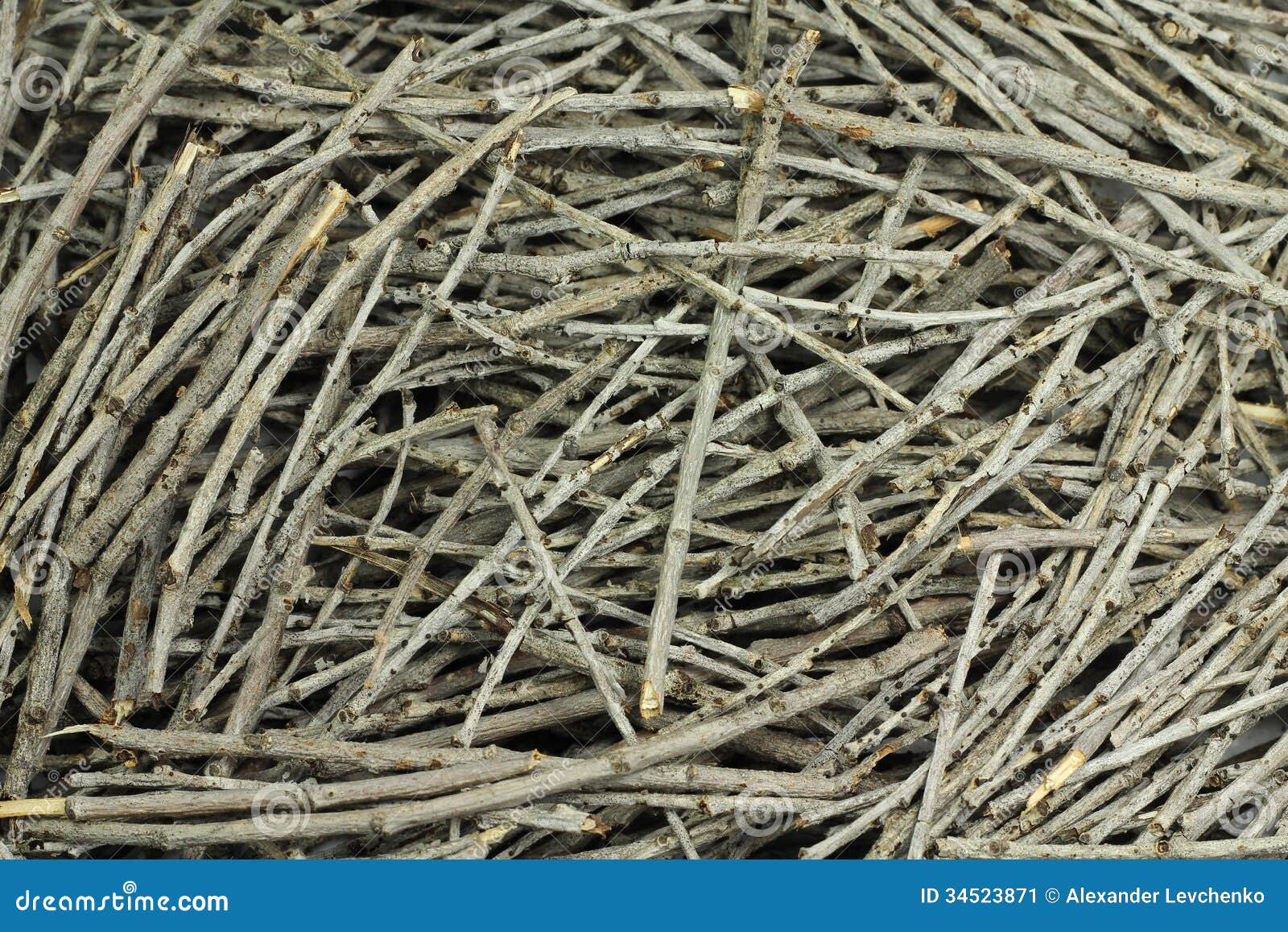 Dry twigs stock image. Image of wood, texture, safe, energy - 34523871