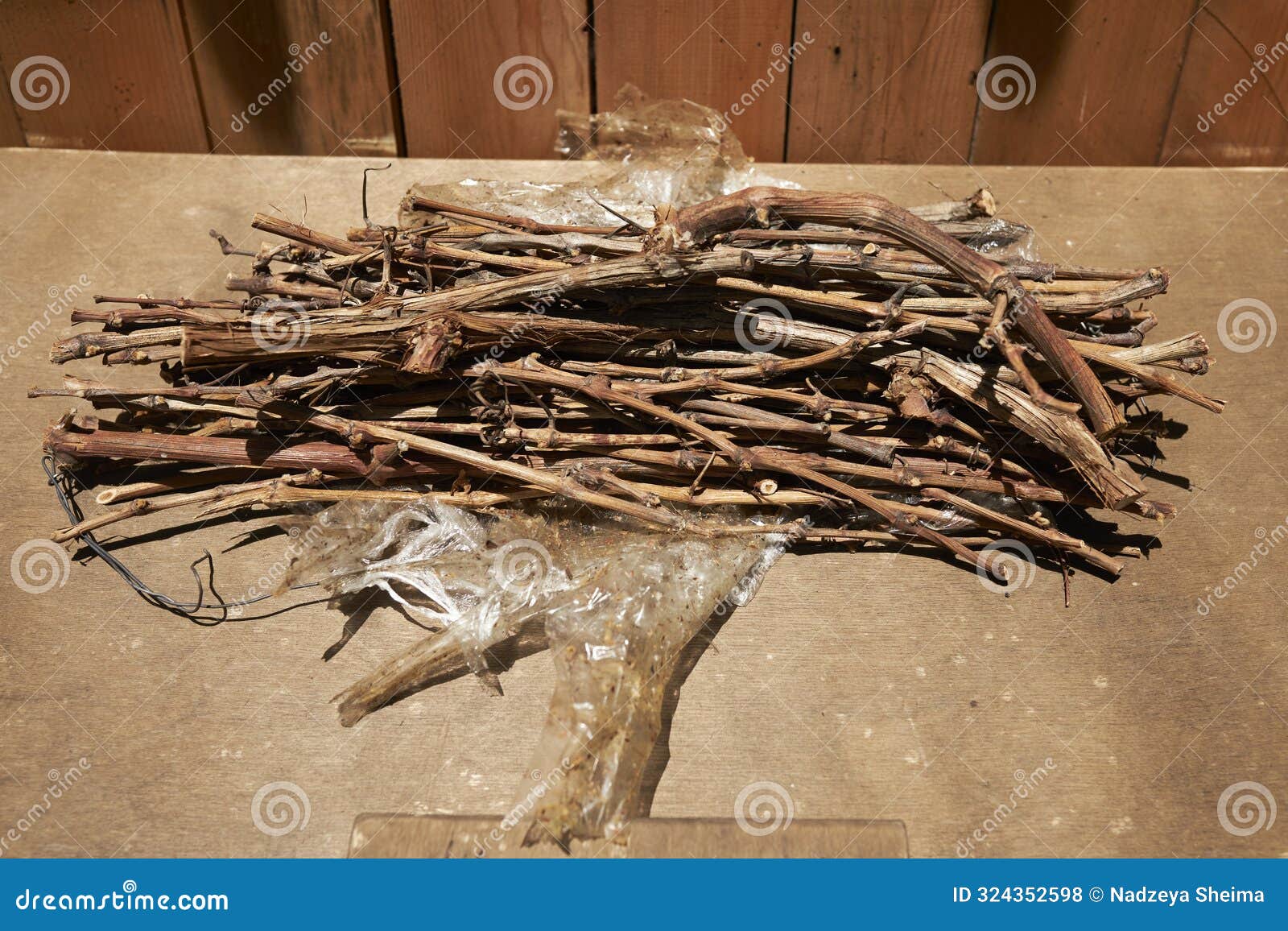 Dry Twigs Pile Ready for Campfire, Sticks, Dry Thin Branches Stock ...