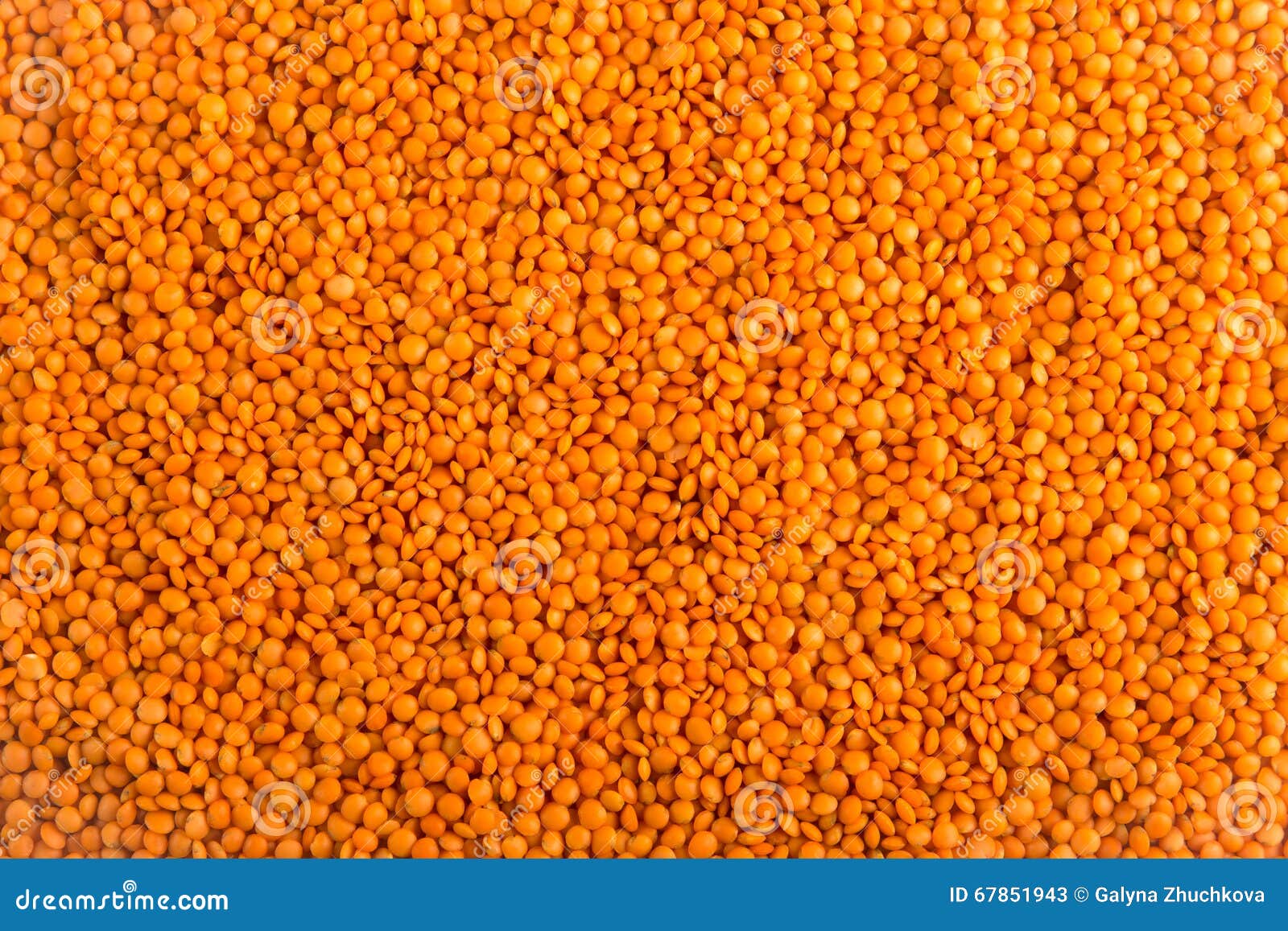 Dry Unbroken Orange Lentils Texture Stock Photos - Free & Royalty-Free ...