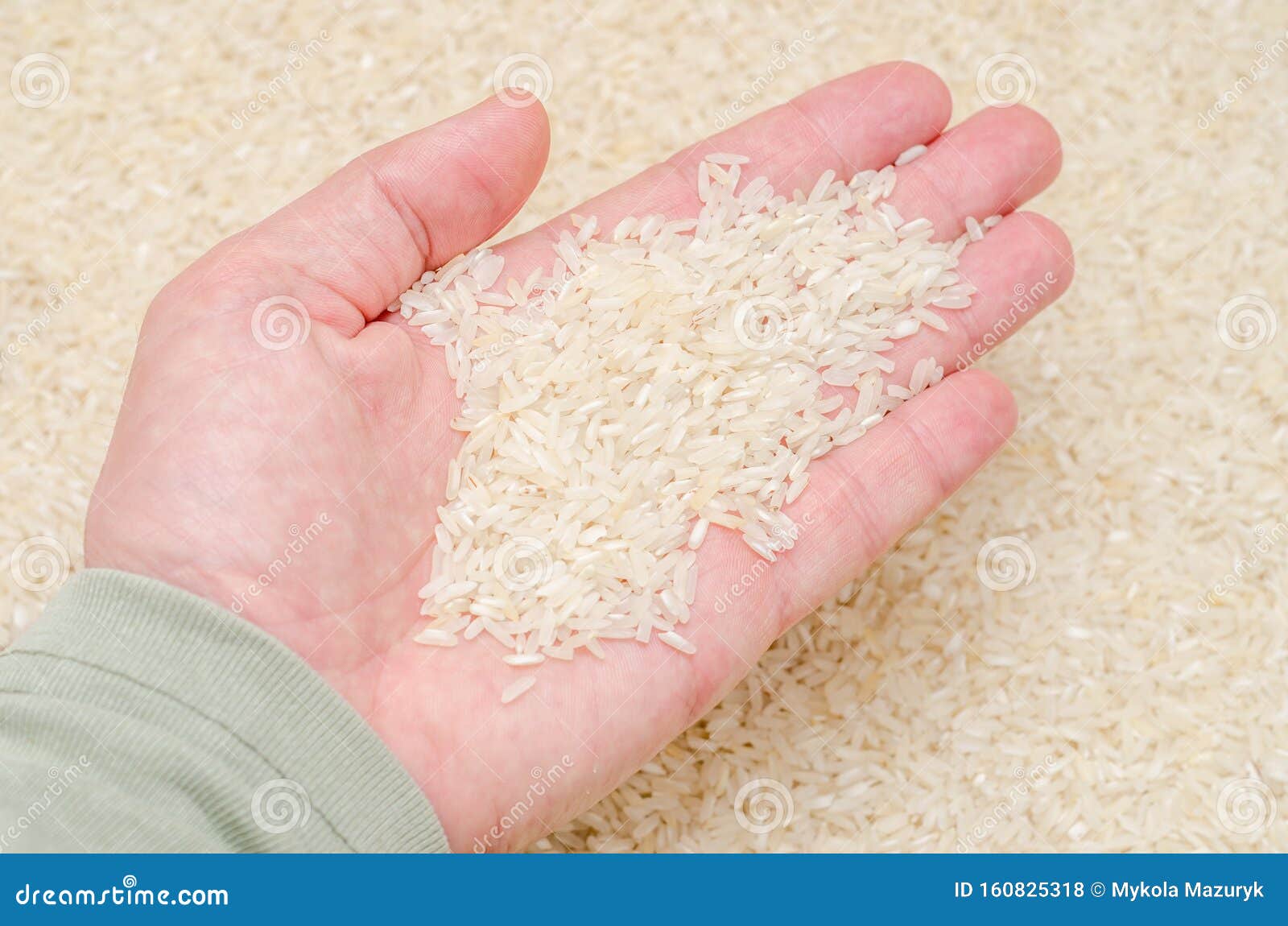 Dry Raw Rice in Hand Over Table Stock Photo - Image of cultivation ...