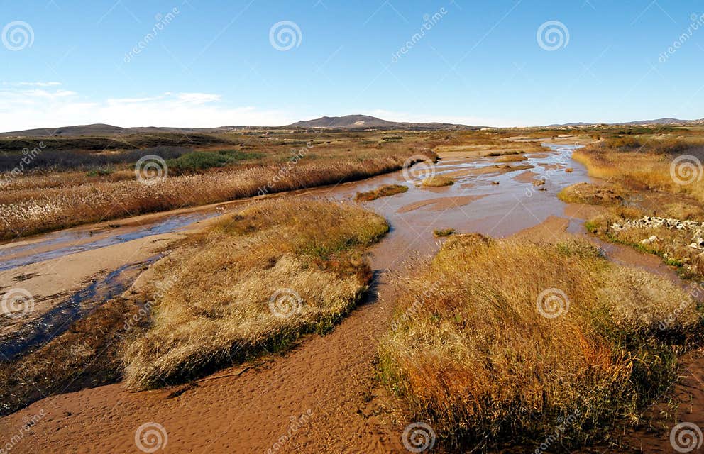 Dry up rivers stock photo. Image of ripped, water, drought - 12333044