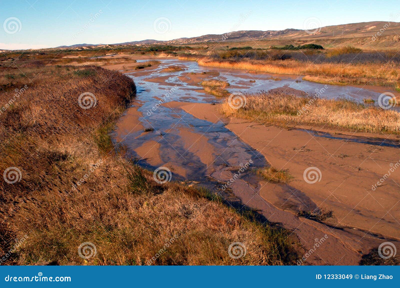 Dry up rivers stock image. Image of dryness, withered - 12333049