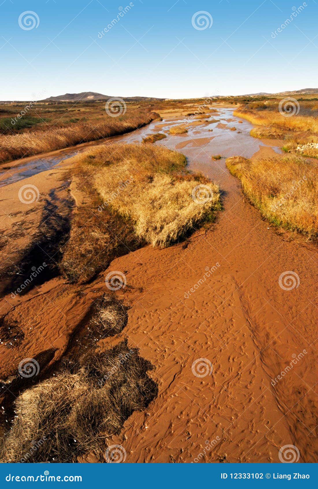 Dry up rivers stock photo. Image of ripped, drought, withered - 12333102