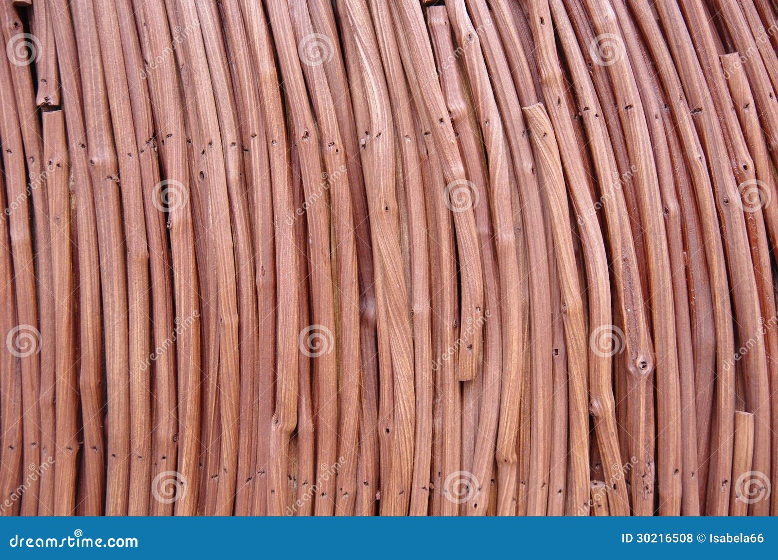 Dry vertical wood sticks stock photo. Image of branch - 30216508