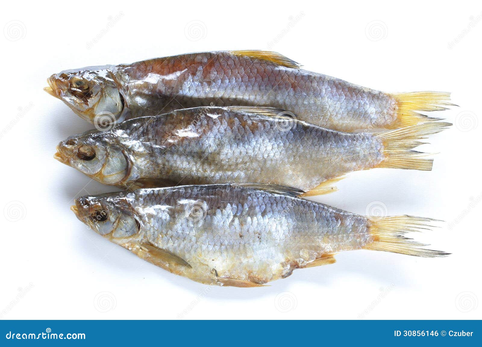 Dry vobla fish stock photo. Image of horizontal, three - 30856146