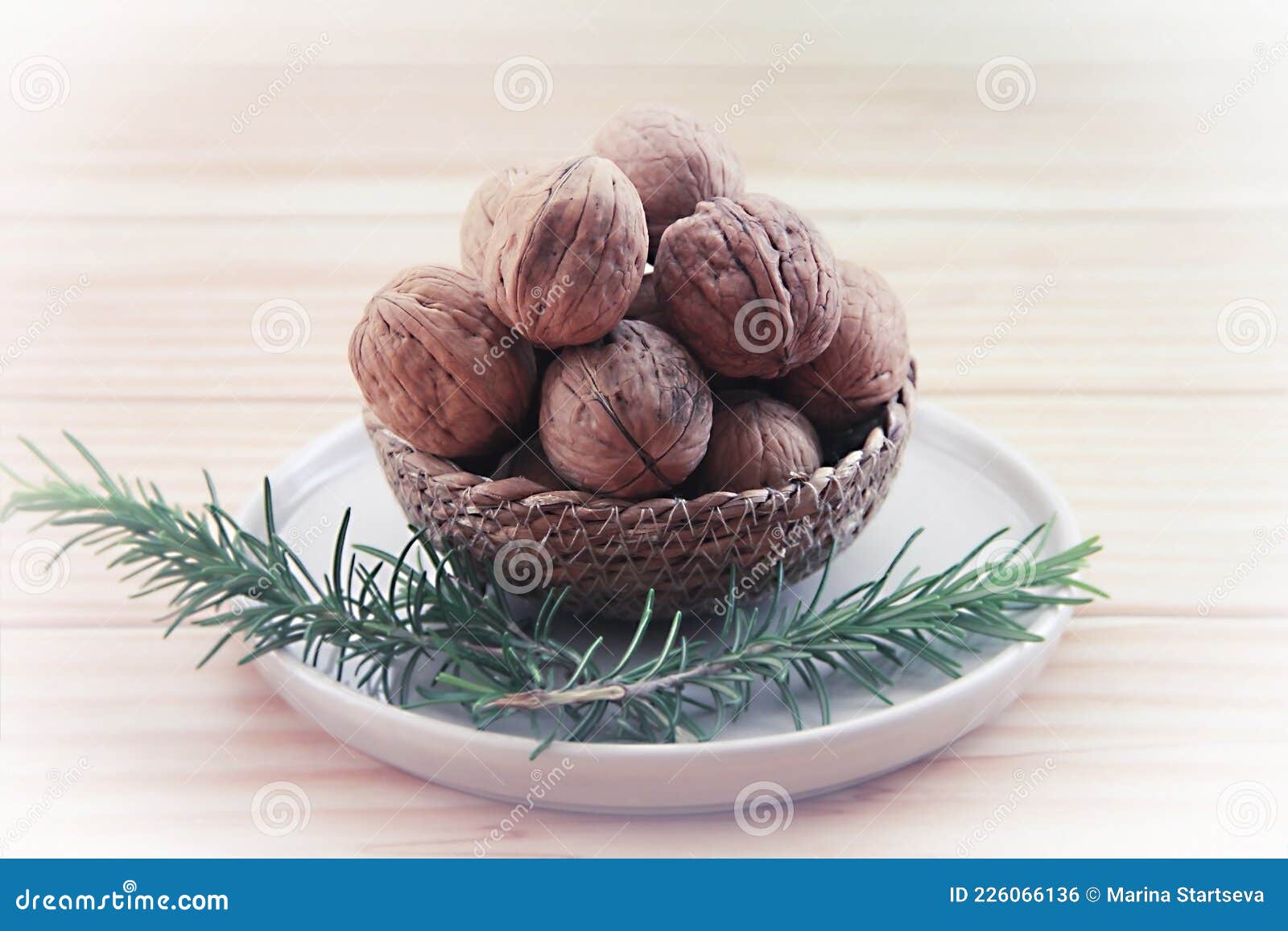 Dry Walnut in a Hard Brown Shell Stock Photo - Image of husk, nutshell ...
