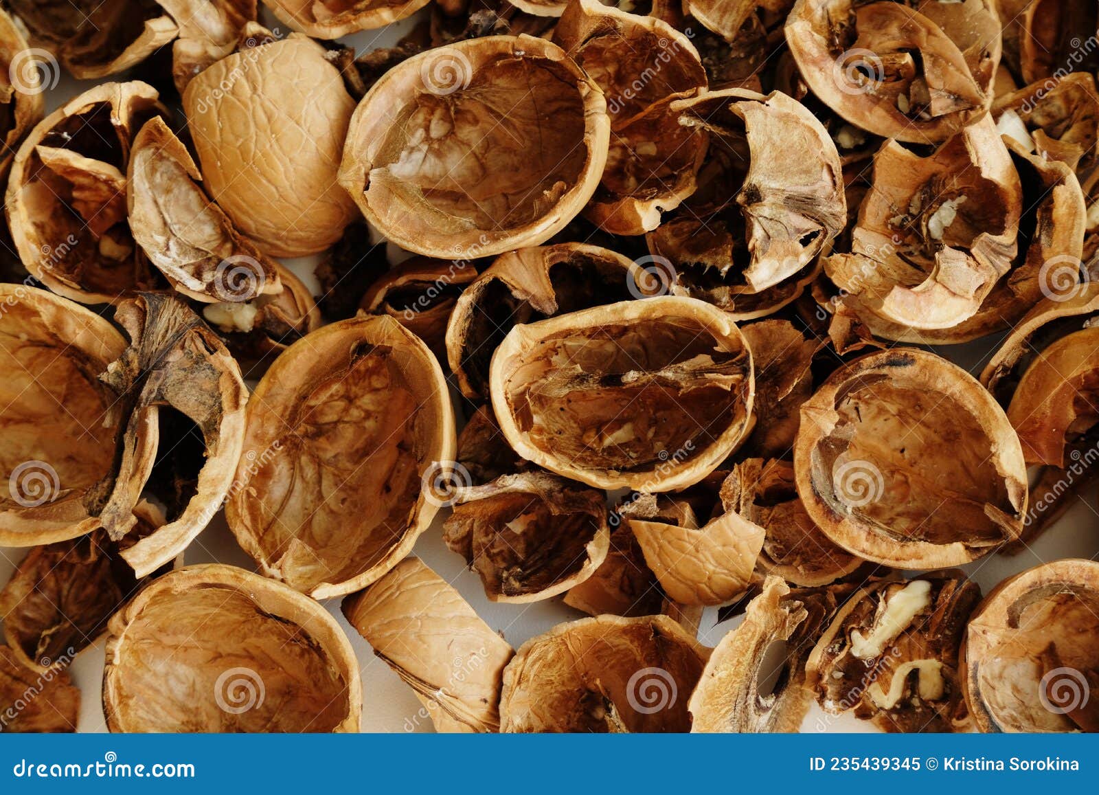 Dry Walnut Shell Close Up, Texture Background Stock Image - Image of ...