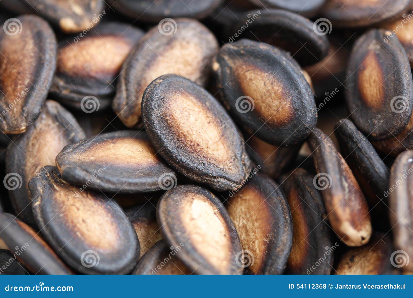 Dry Watermalon Seeds stock photo. Image of food, black - 54112368