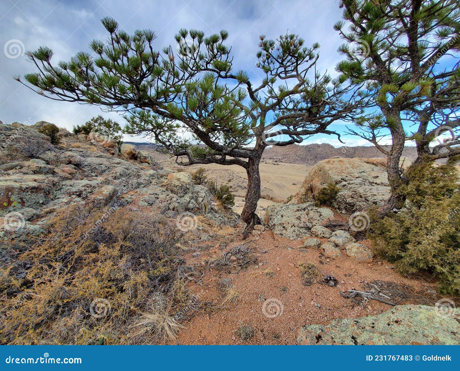 Dry western landscape stock image. Image of ridge, rock - 231767483