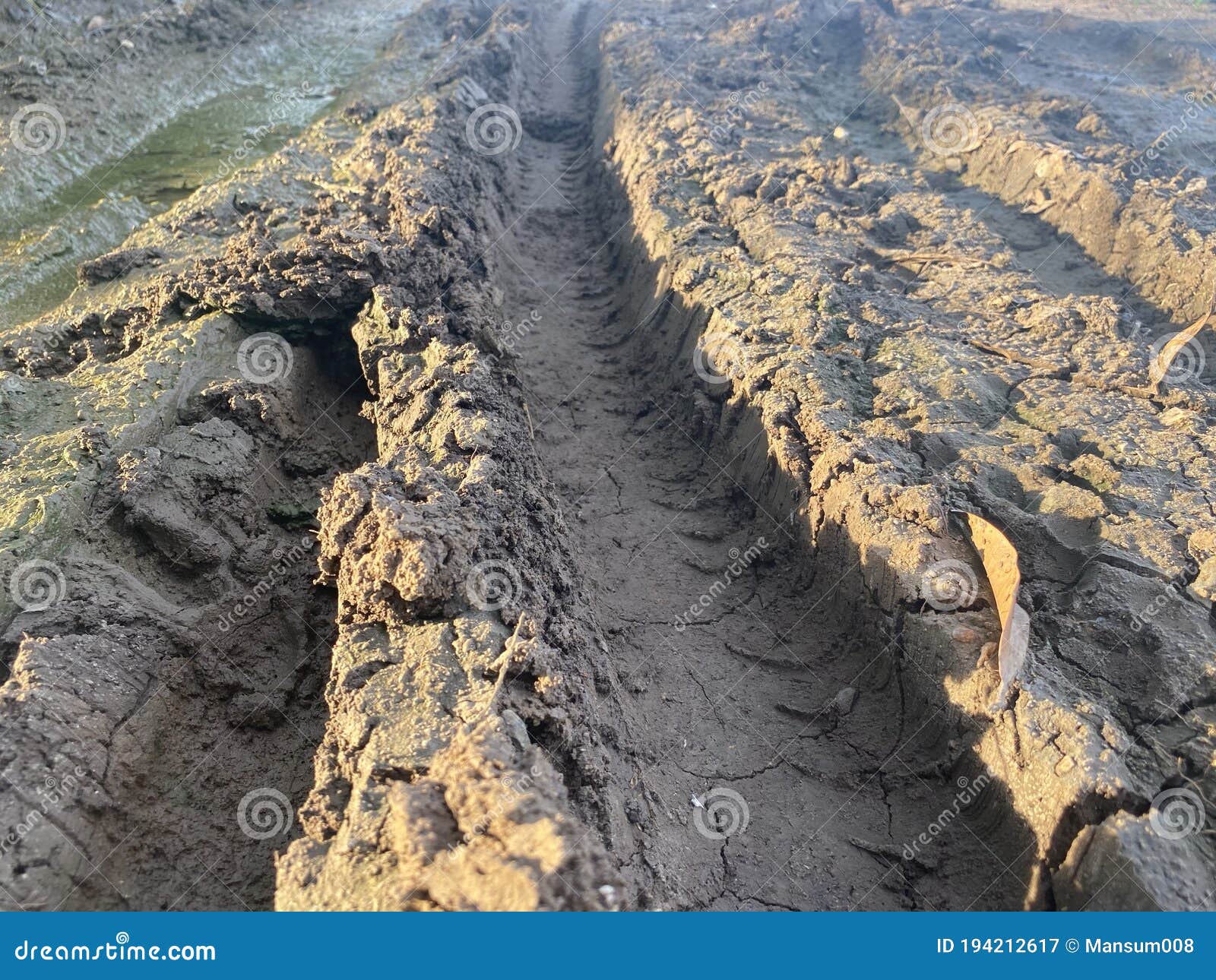 Dry Wheel Track on Dirt Soil Texture Stock Image - Image of dirt ...