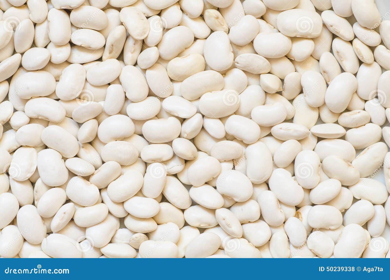 Dry white beans stock photo. Image of uncooked, nutrition - 50239338