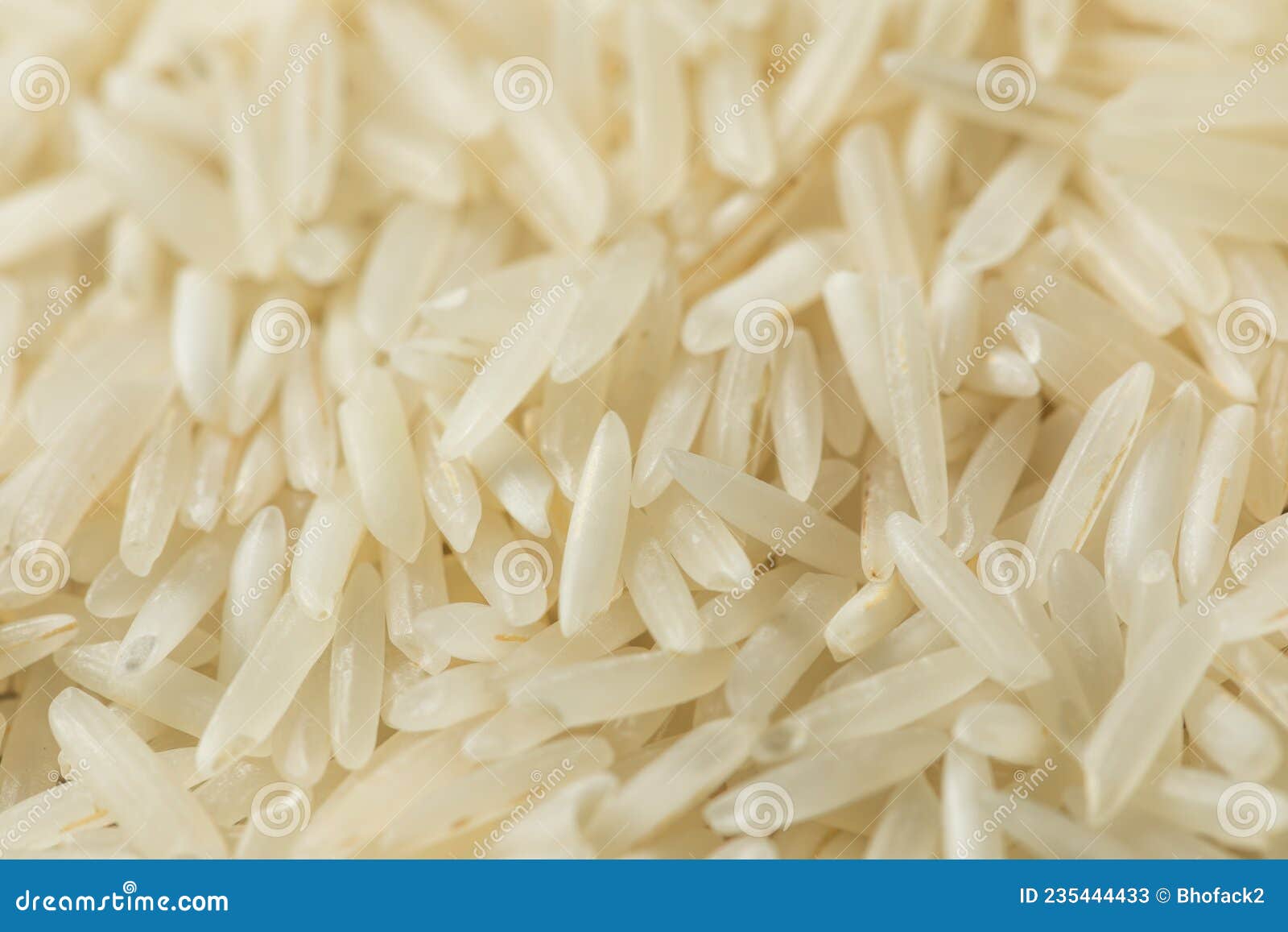 Dry White Organic Basmati Rice Stock Image - Image of natural, healthy ...