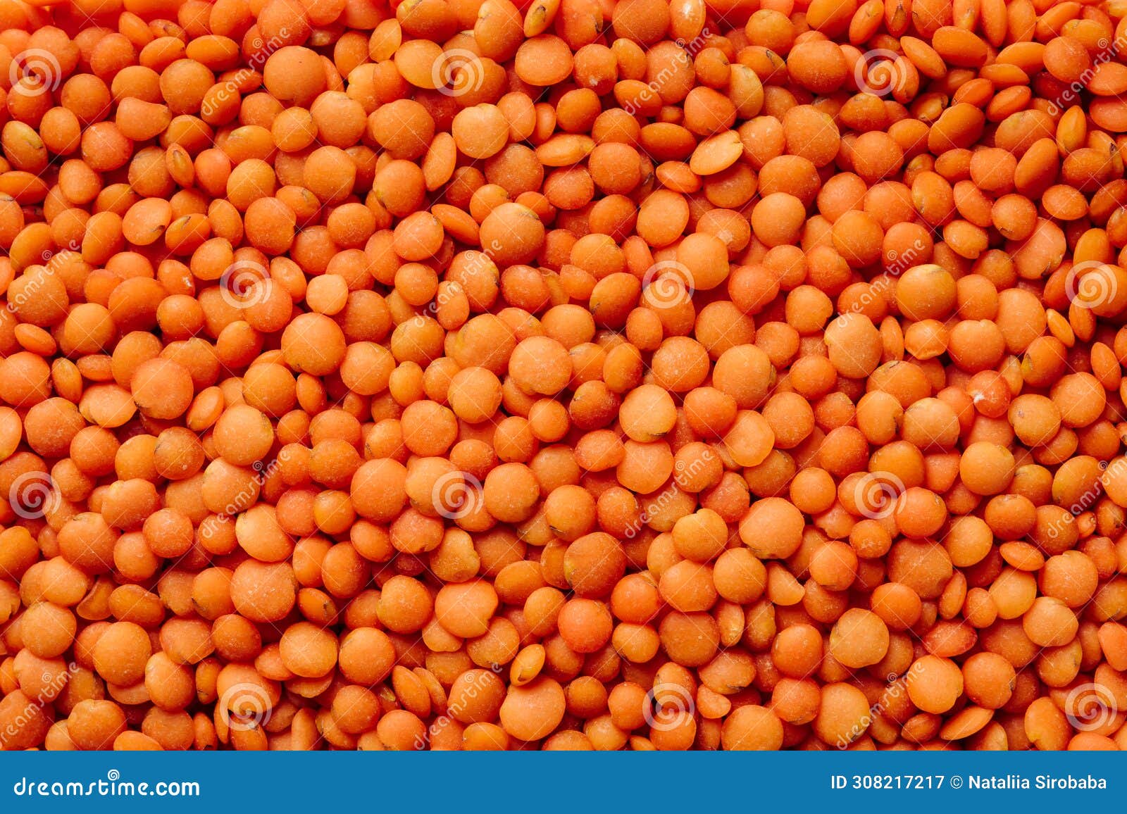 Dry Whole Red Lentils Close-up Stock Image - Image of protein, lentils ...