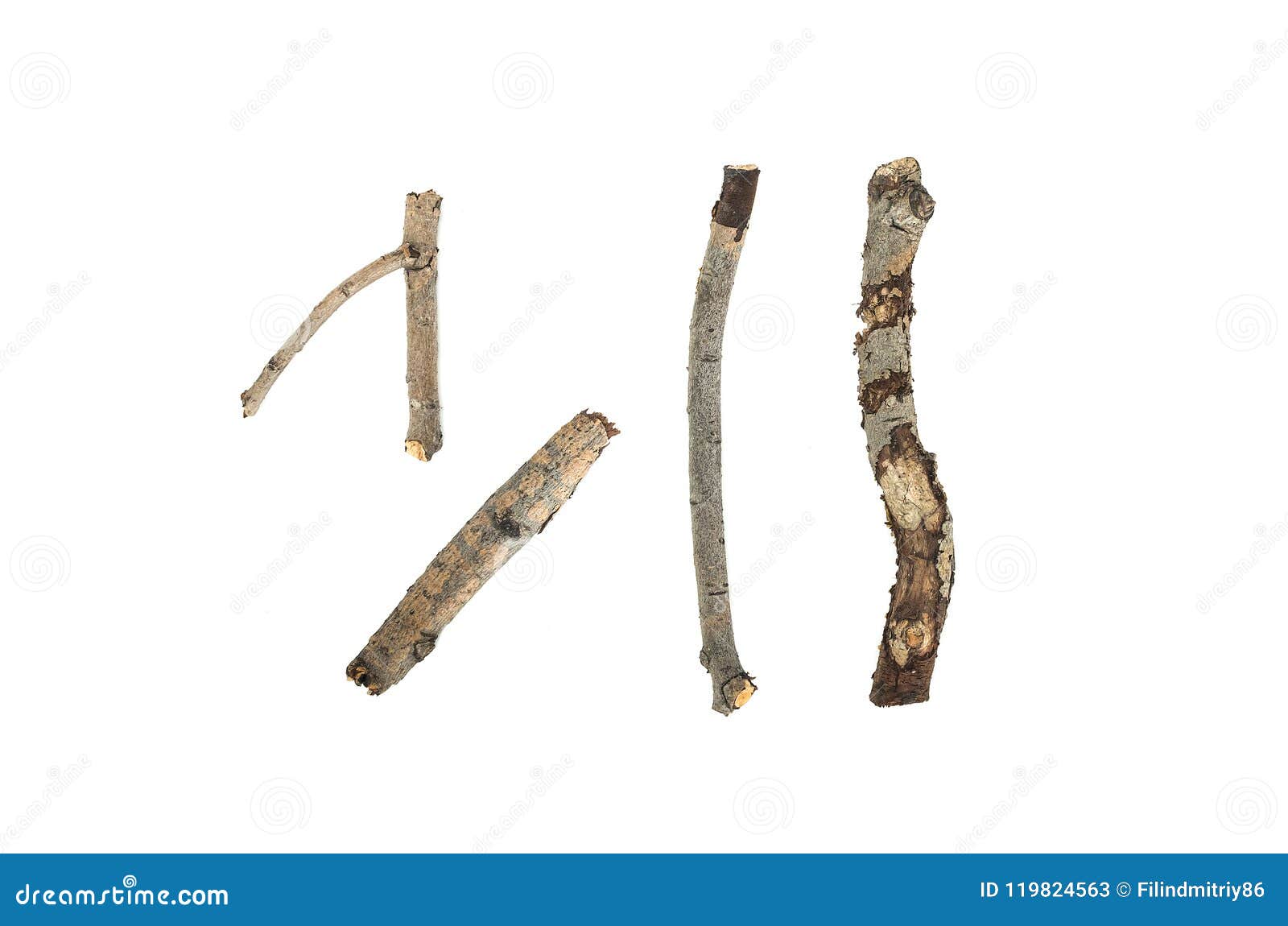 Dry willow tree branch. stock image. Image of nature - 119824563