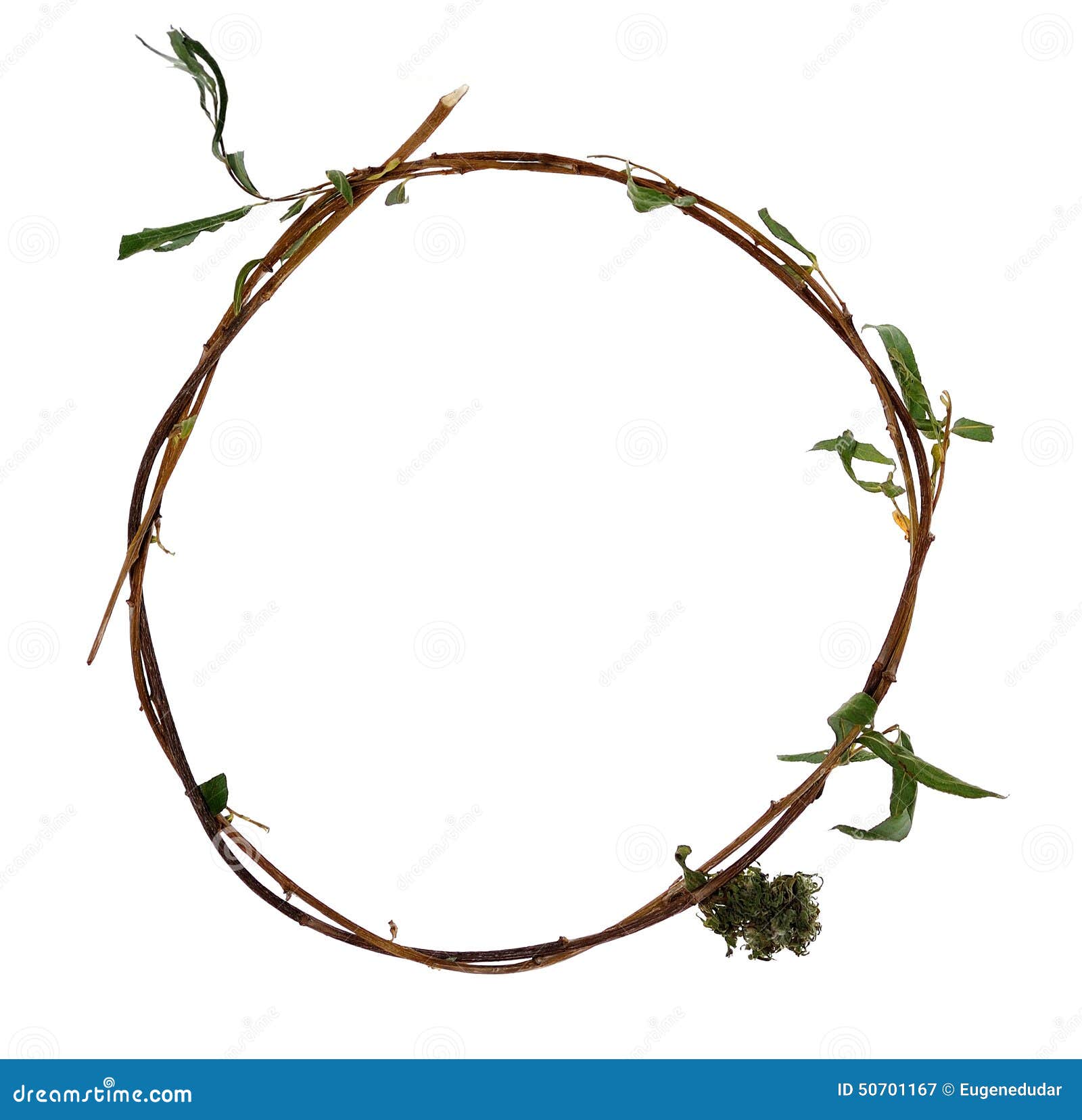 Dry Willow Twigs Rolled into the Ring Stock Image - Image of beautiful ...