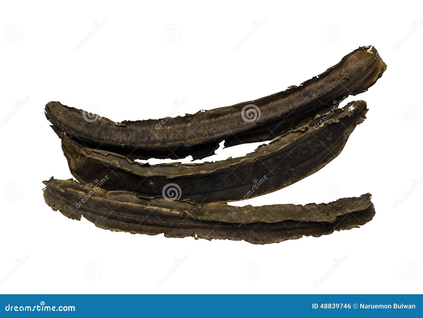 Winged Bean On Wooden Background, Psophocarpus Tetragonolobus - Green ...