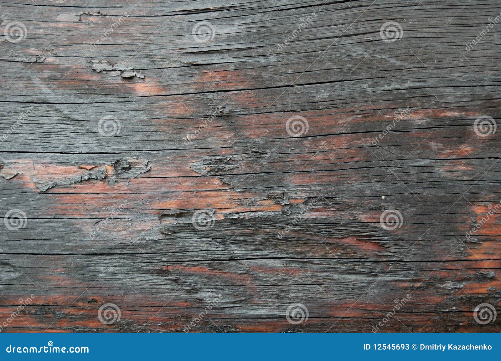 Dry wood stock image. Image of peel, close, pattern, surface - 12545693