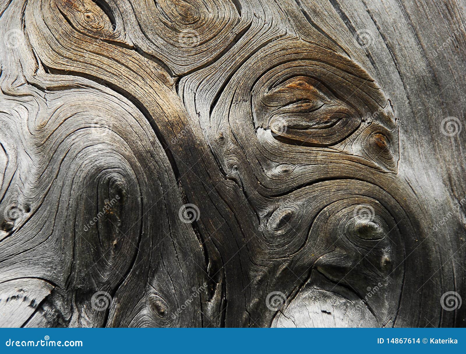 Dry wood stock photo. Image of pattern, wooden, worn - 14867614