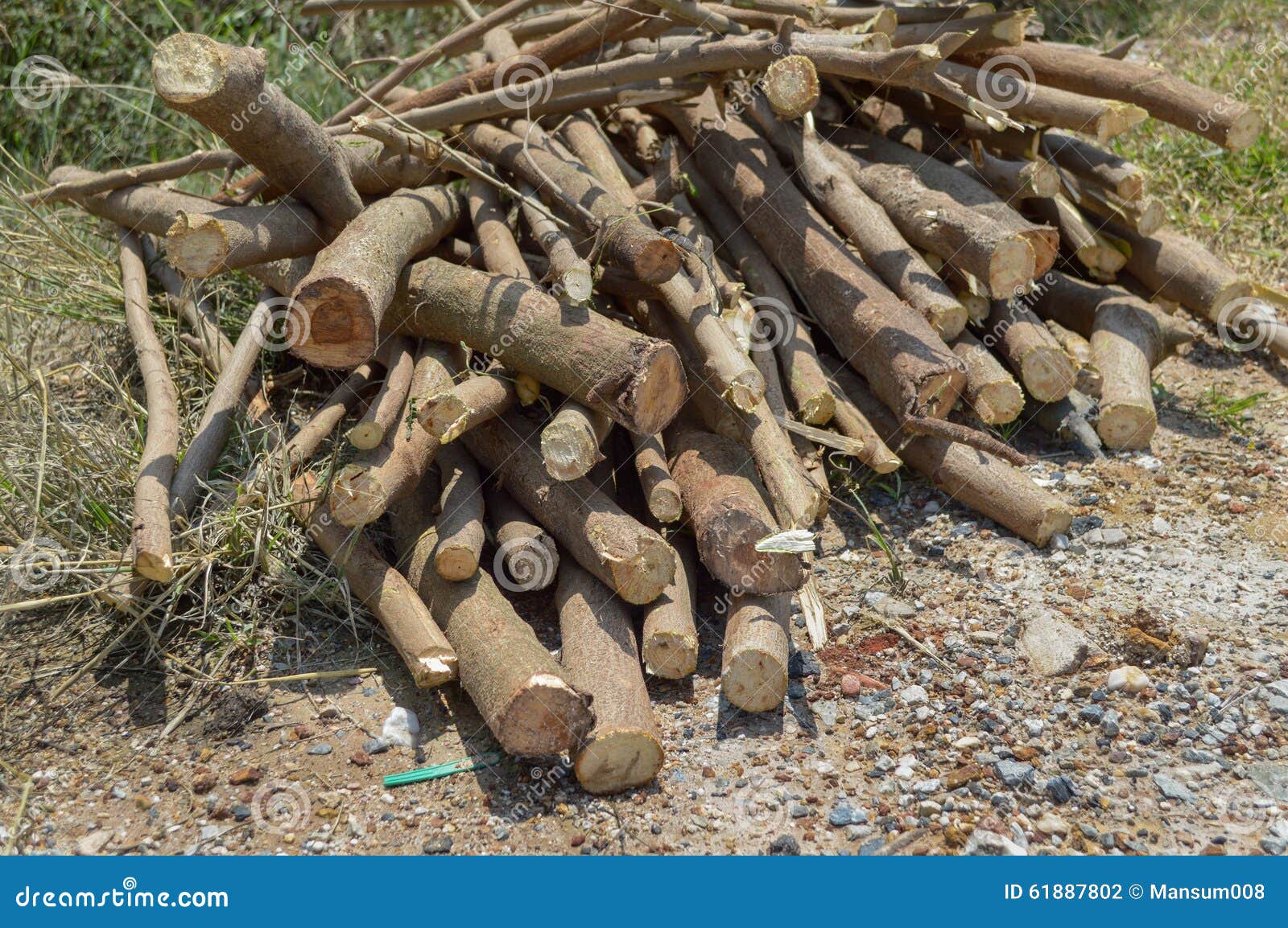 Dry wood stock photo. Image of agricultural, wood, land - 61887802