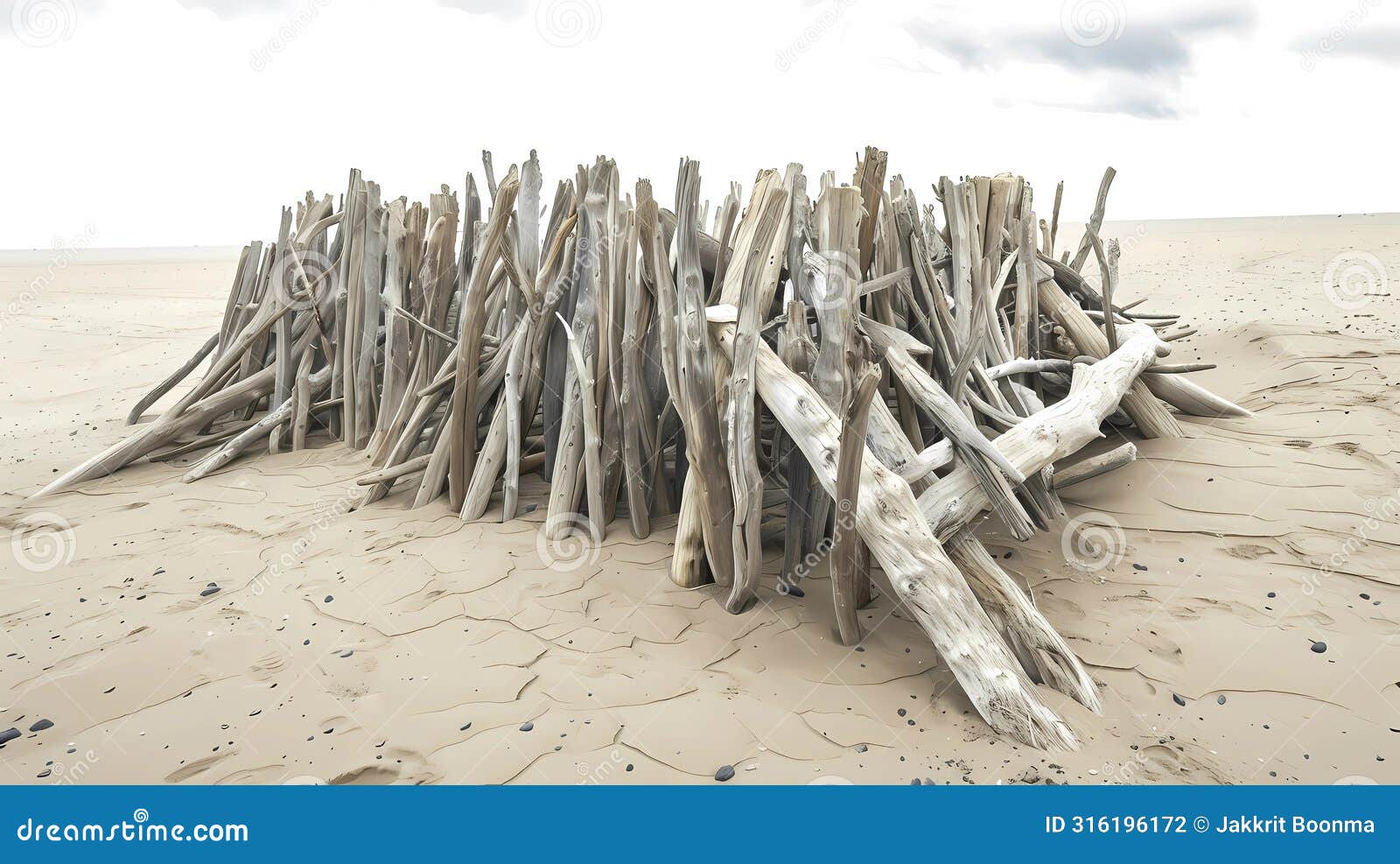 Dry Wood Sticks on the Beach, Generative AI Illustrations Stock ...