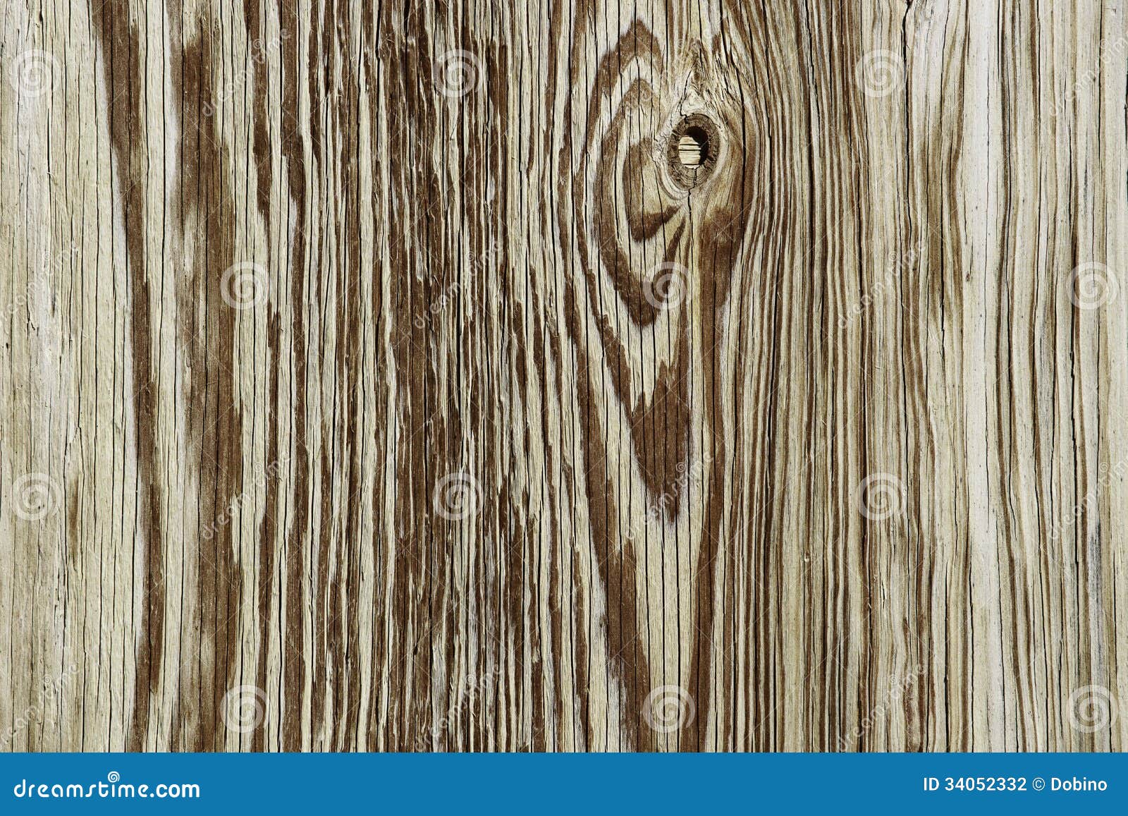 Dry Wood Texture stock photo. Image of nature, textured - 34052332