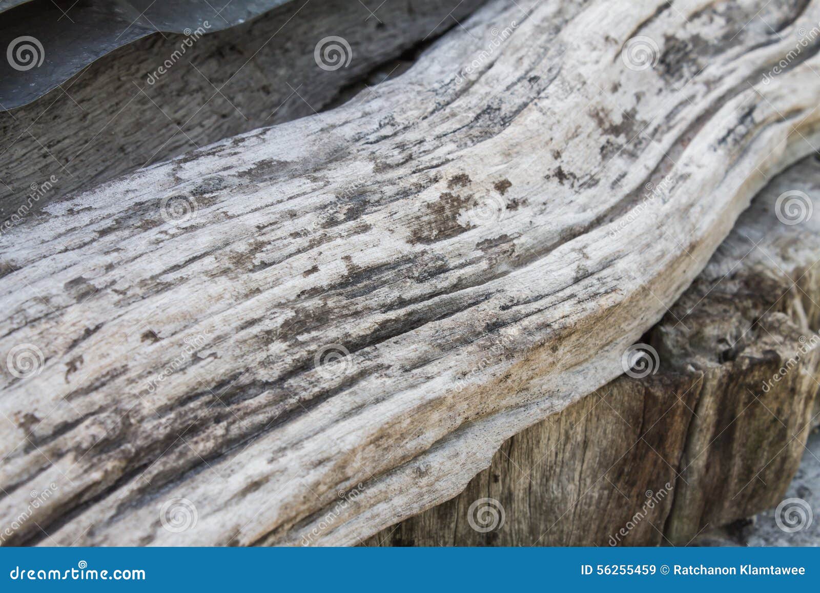 Dry wood stock image. Image of dried, natural, brown - 56255459