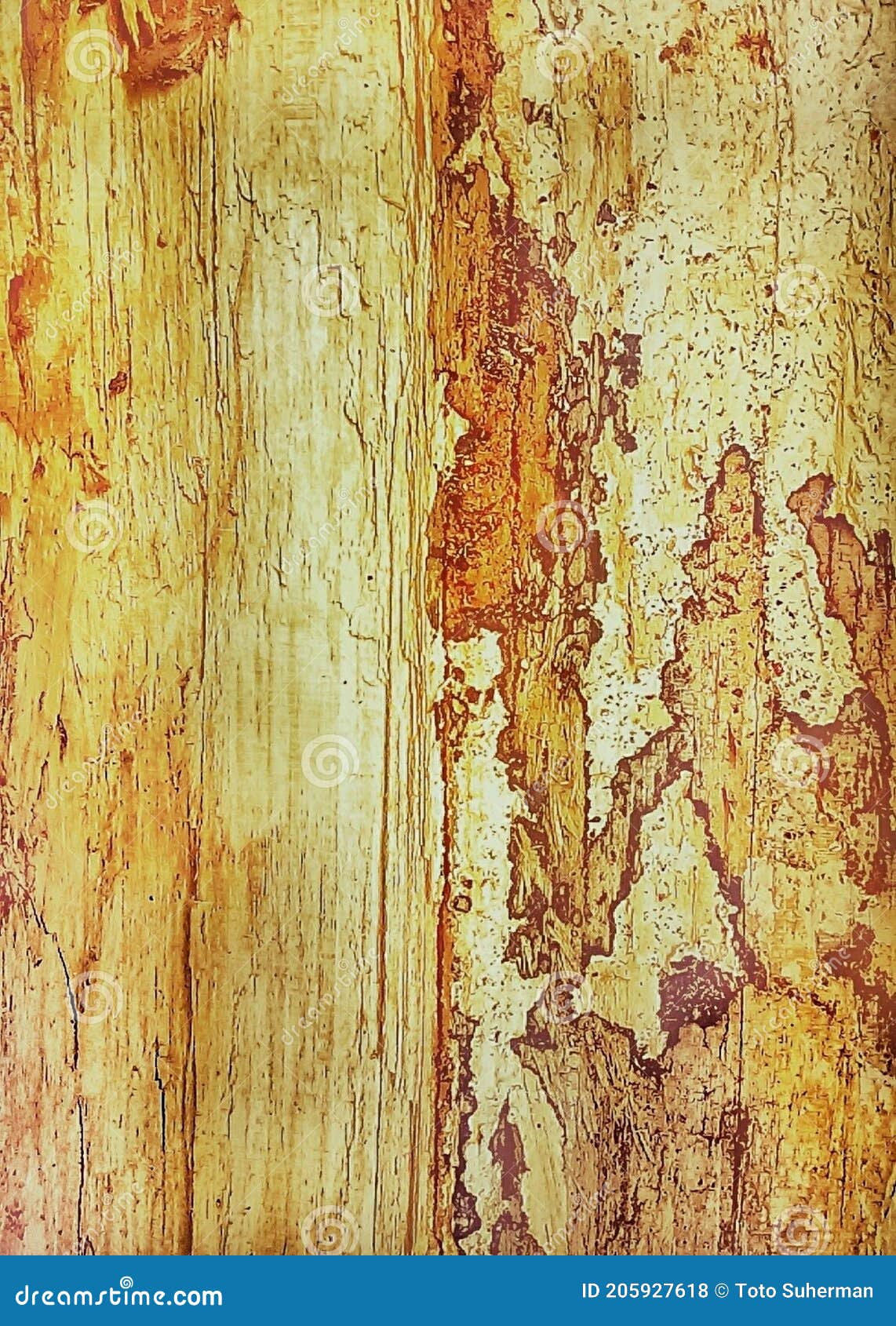 Dry Wood Texture that Undergoes a Process Stock Photo - Image of yellow ...