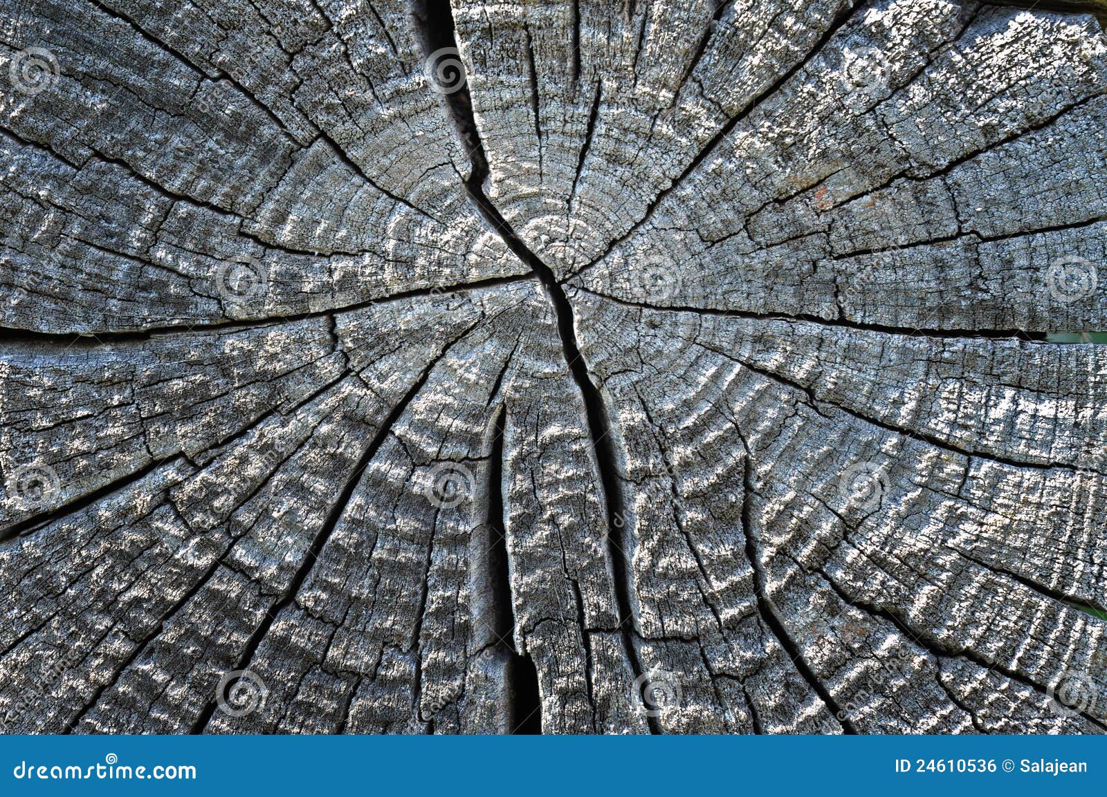 Dry Wood Timber Natural Background Stock Photo - Image of nature, board ...