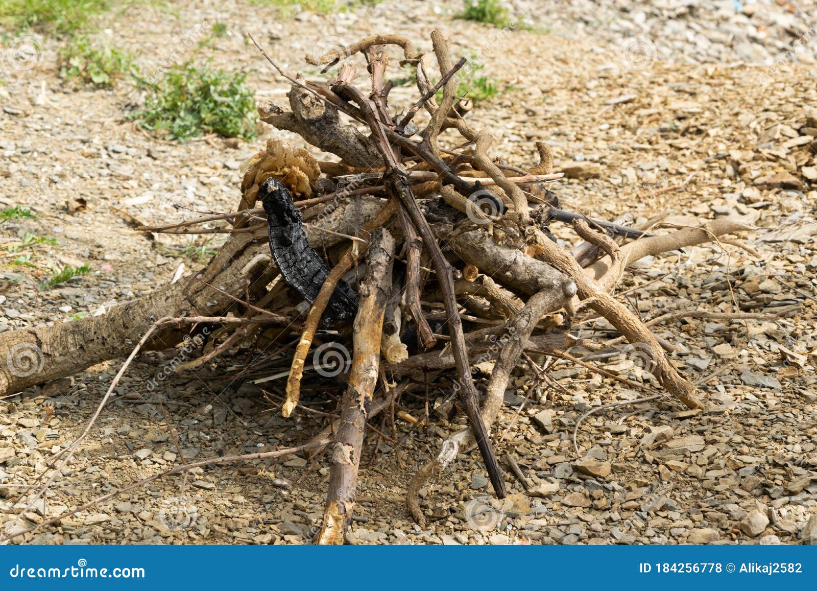 Dry Wood To Make Fire Outdoors Stock Photo - Image of branch, travel ...