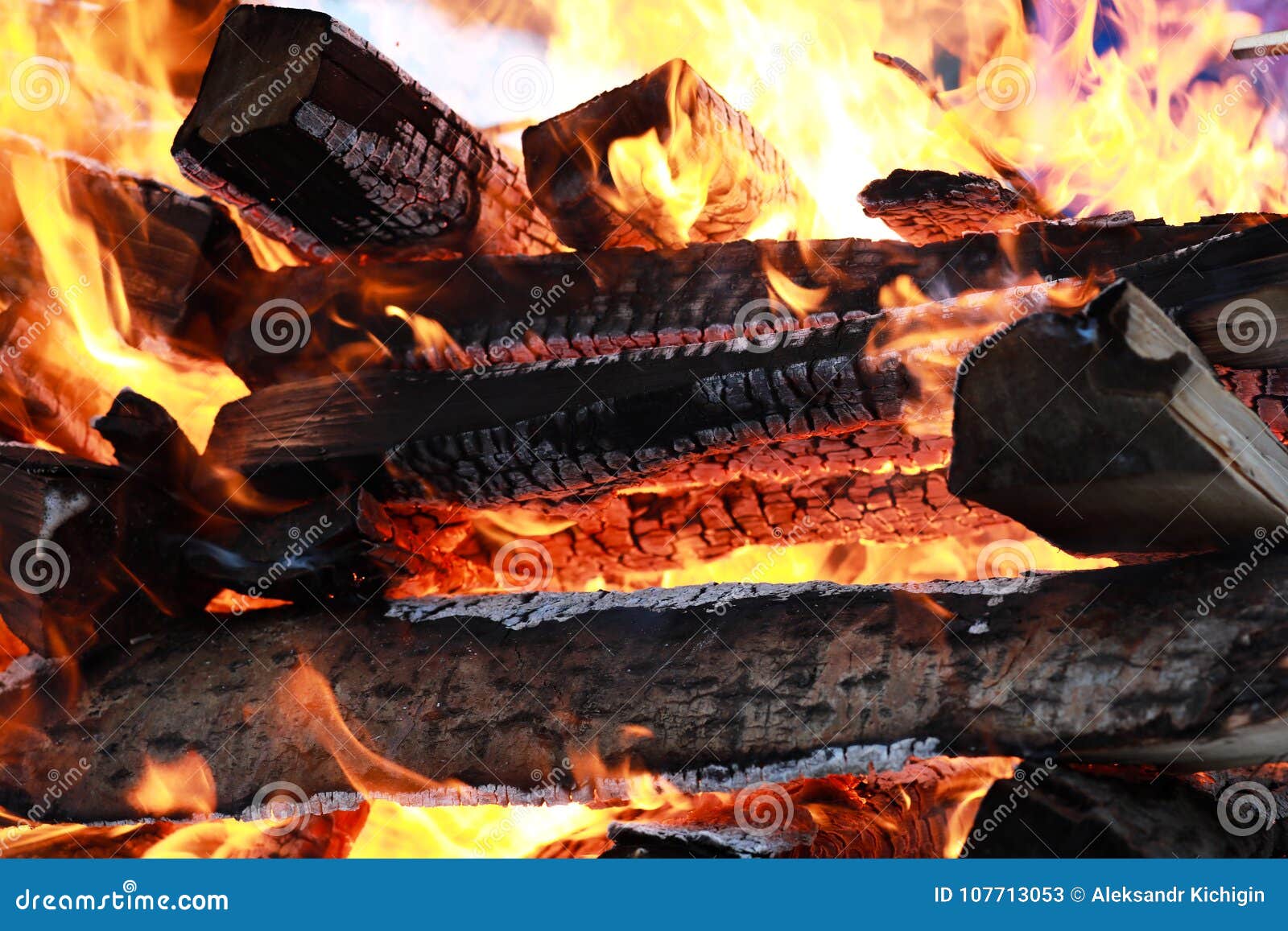 Wooden Logs Burn with a Bright Flame in the Fire Stock Image - Image of ...