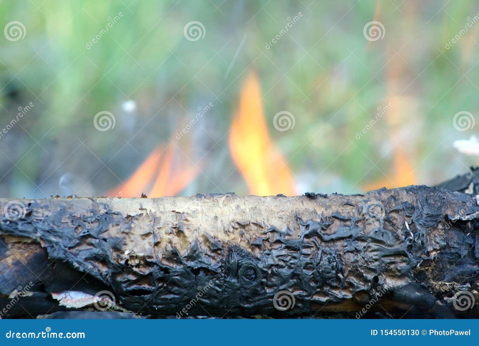 Wooden Logs Burn with a Bright Flame in the Fire Stock Photo - Image of ...