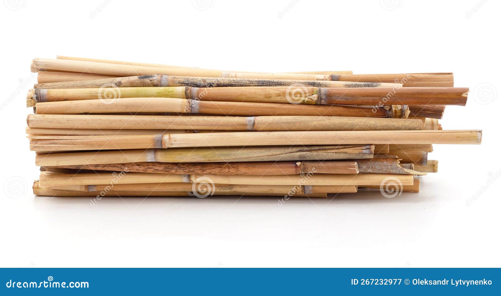Dry yellow cane stock image. Image of cane, orange, natural - 267232977