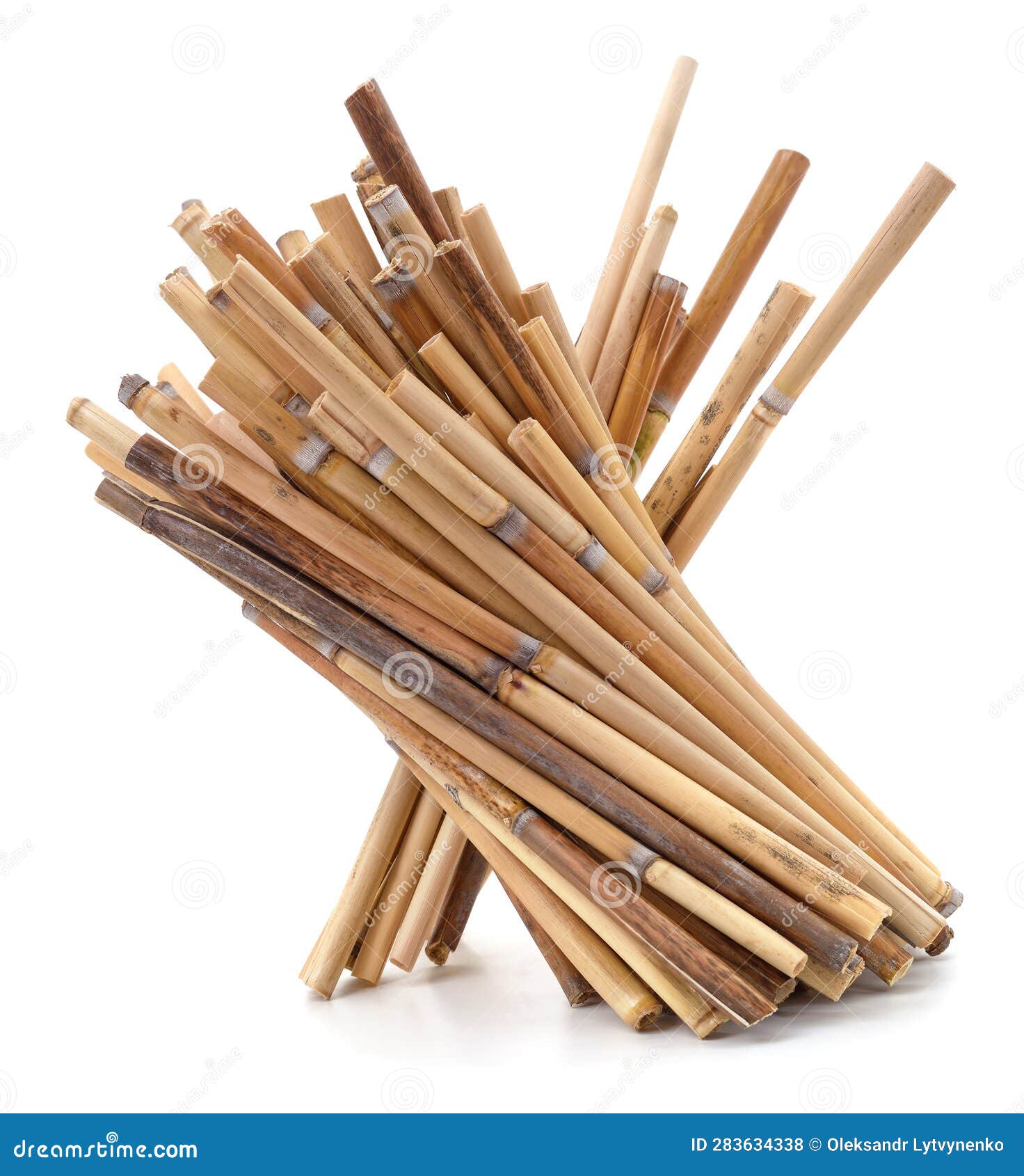 Dry yellow cane stock photo. Image of environment, white - 283634338