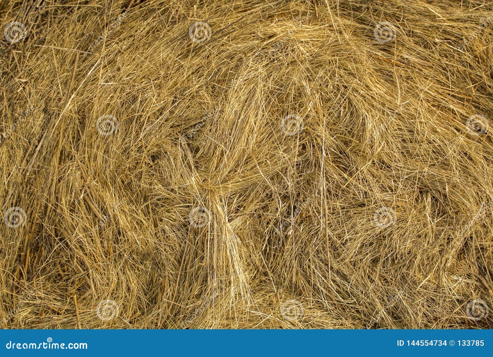 Dry Yellow Hay in a Stack Close-up. Natural Surface Texture Stock Photo ...