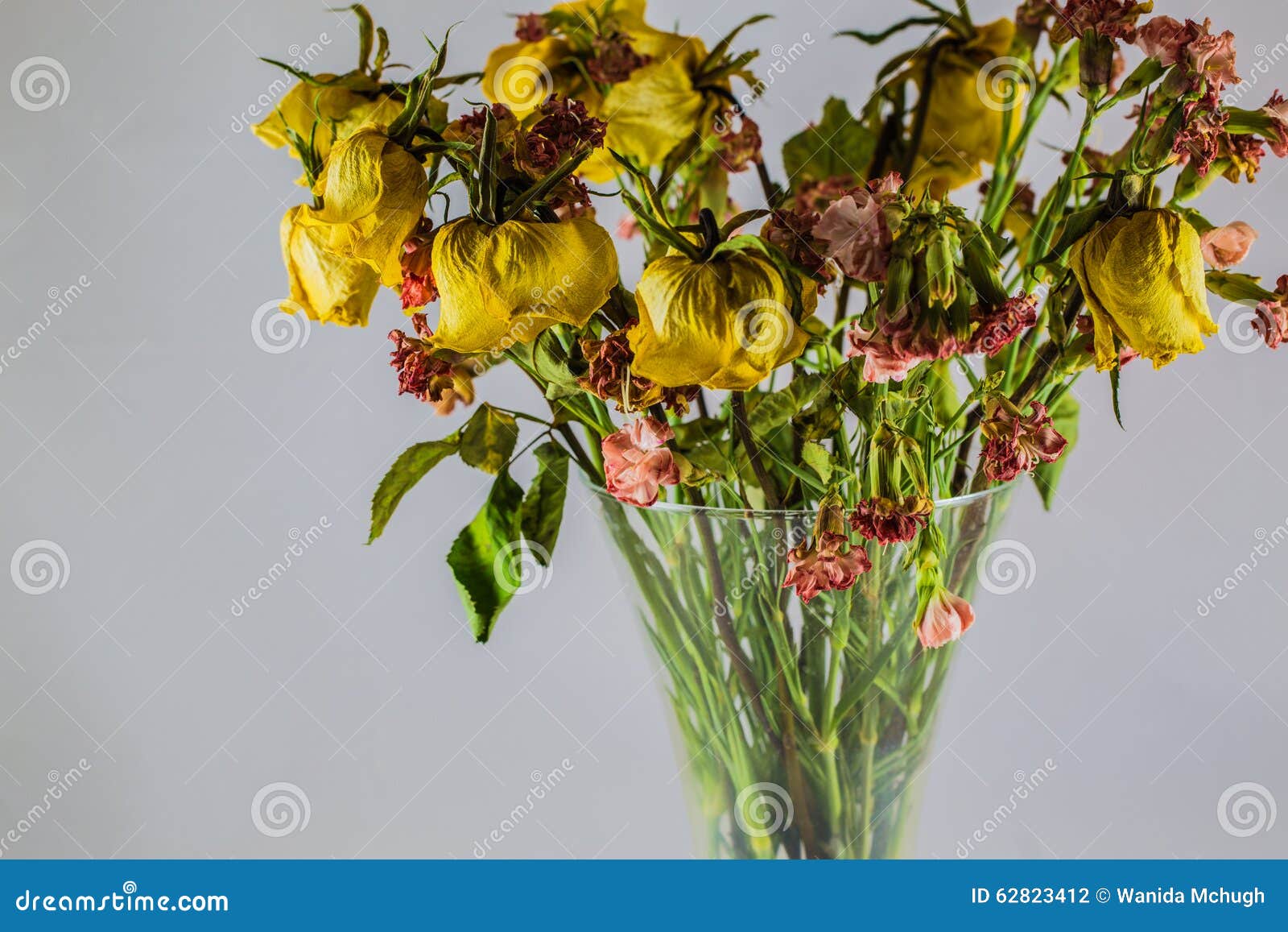 Dry yellow roses stock photo. Image of leaf, lonely, love - 62823412