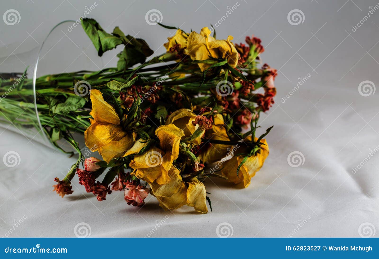 Dry yellow roses stock image. Image of thread, yellow - 62823527