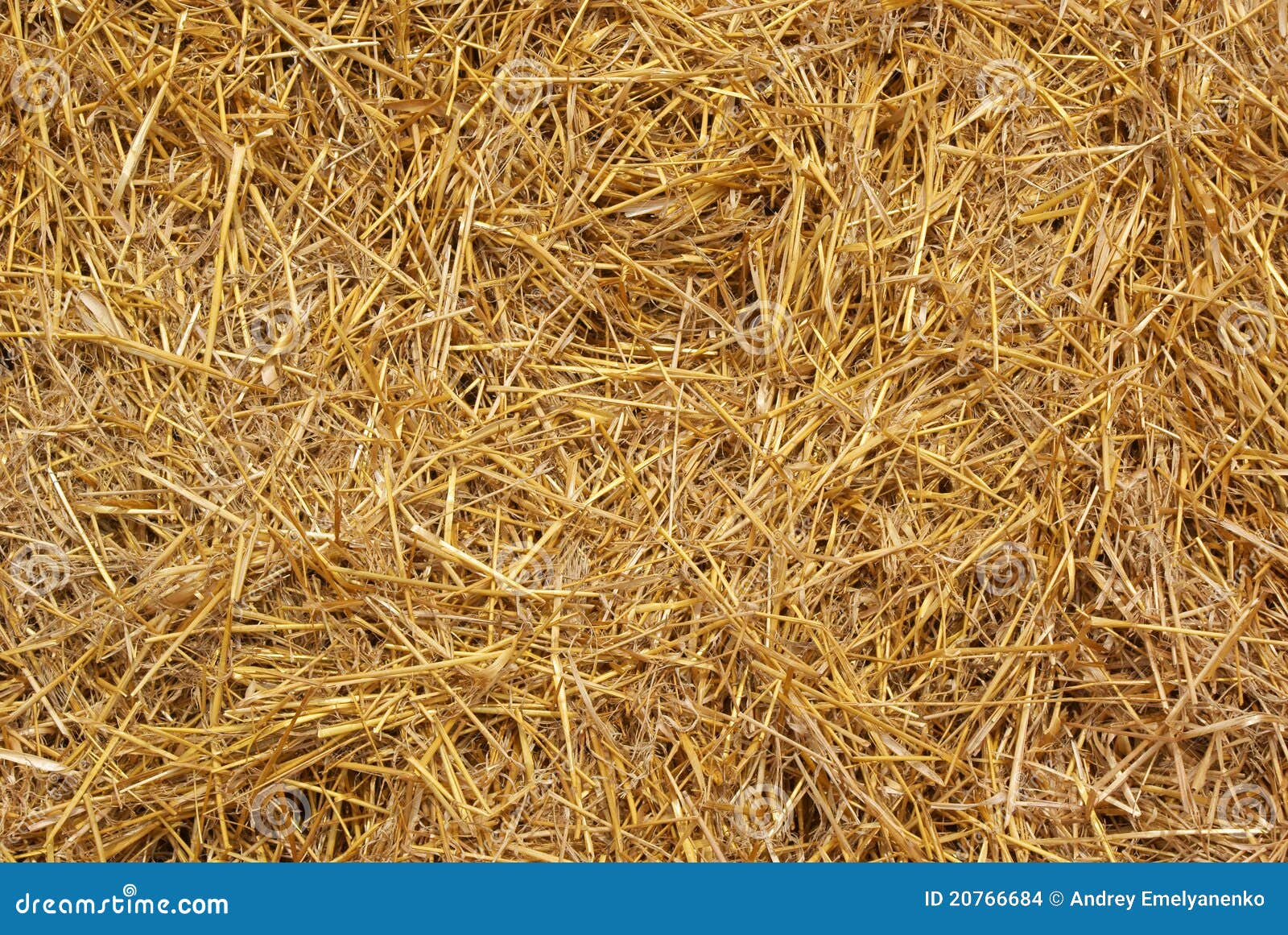 Yellow Straw Pile. Royalty-Free Stock Image | CartoonDealer.com #68256856