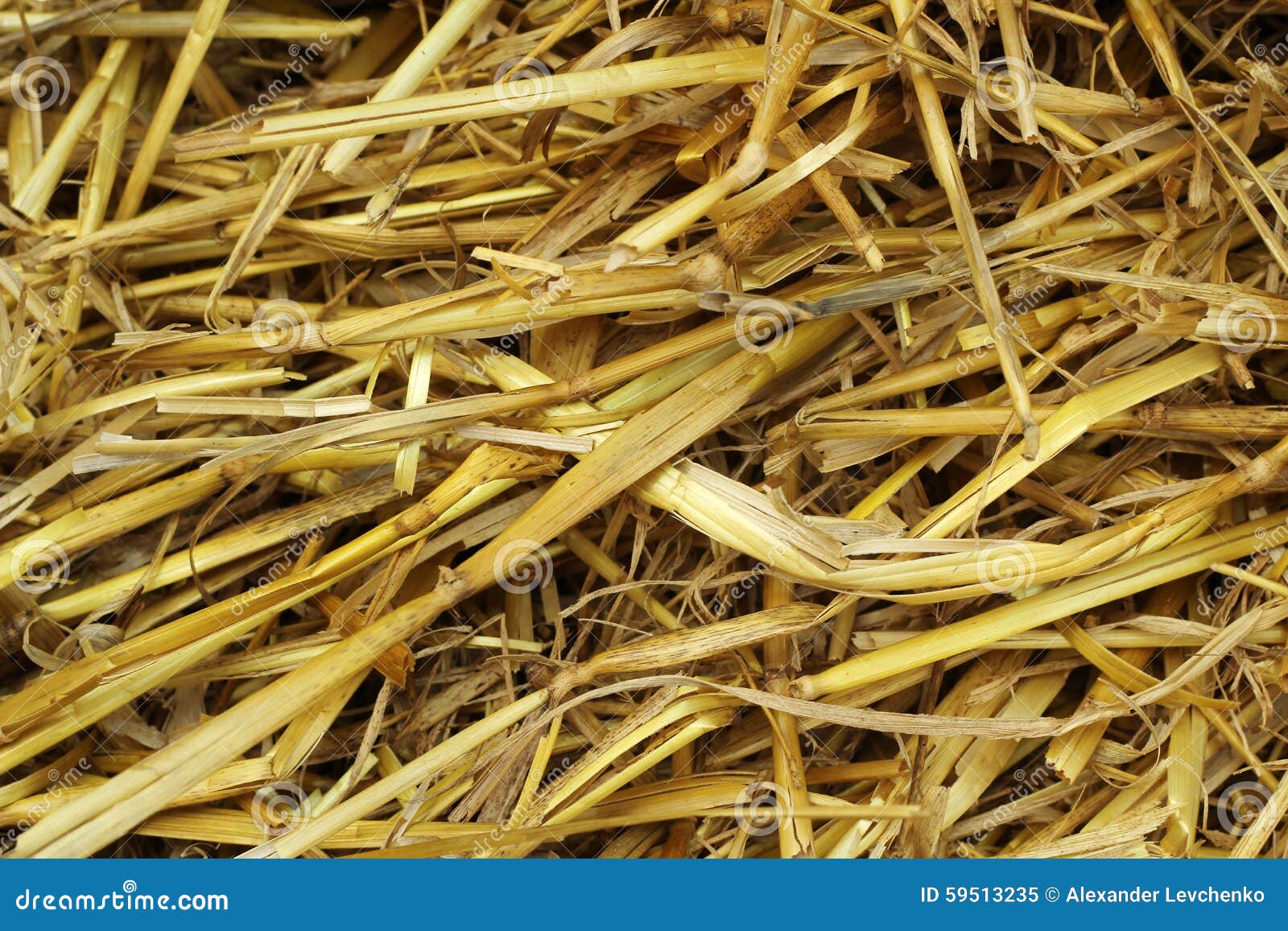 Dry Yellow Straw Background Stock Image - Image of organic, waste: 59513235