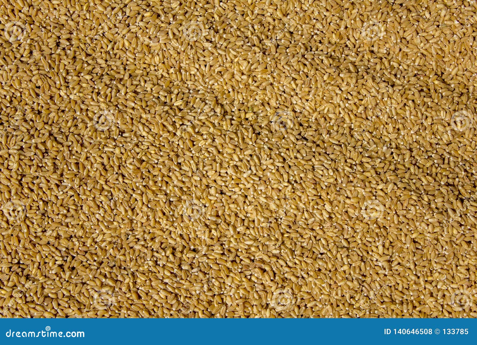 Dry Yellow Wheat Grains Close-up. Natural Surface Texture Stock Photo ...