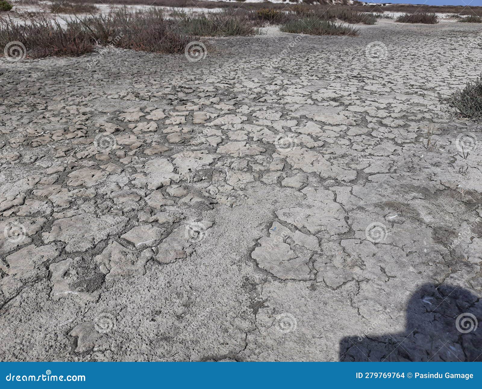 Dry Zone Land Scape in Sri Lanka Stock Photo - Image of geology, soil ...