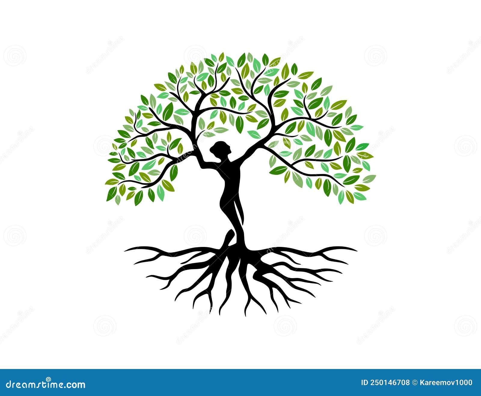 Dryad Tree Vector Illustrations | CartoonDealer.com #255612984