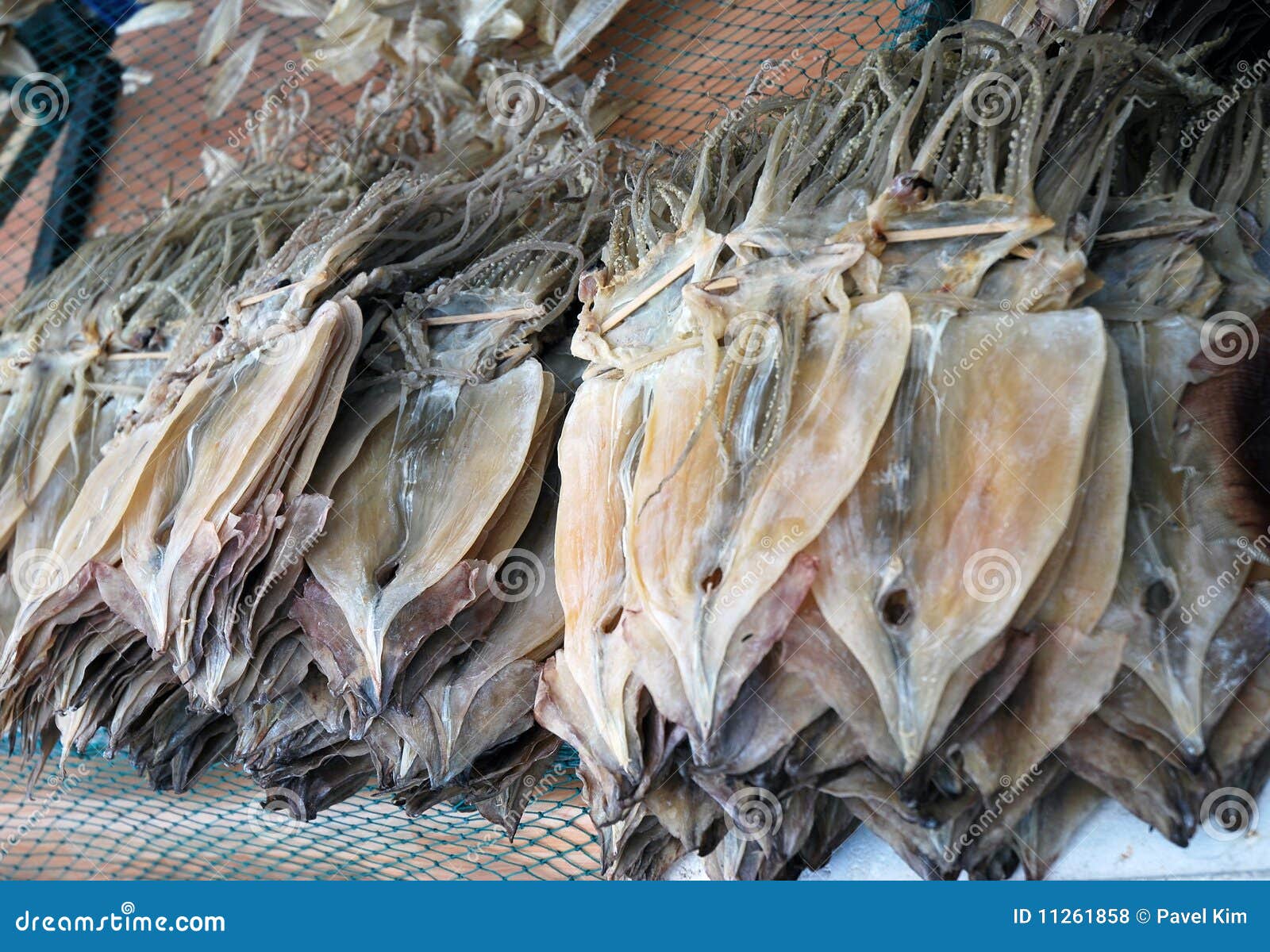 Dryed mollusk . stock photo. Image of fishing, diet, fish - 11261858