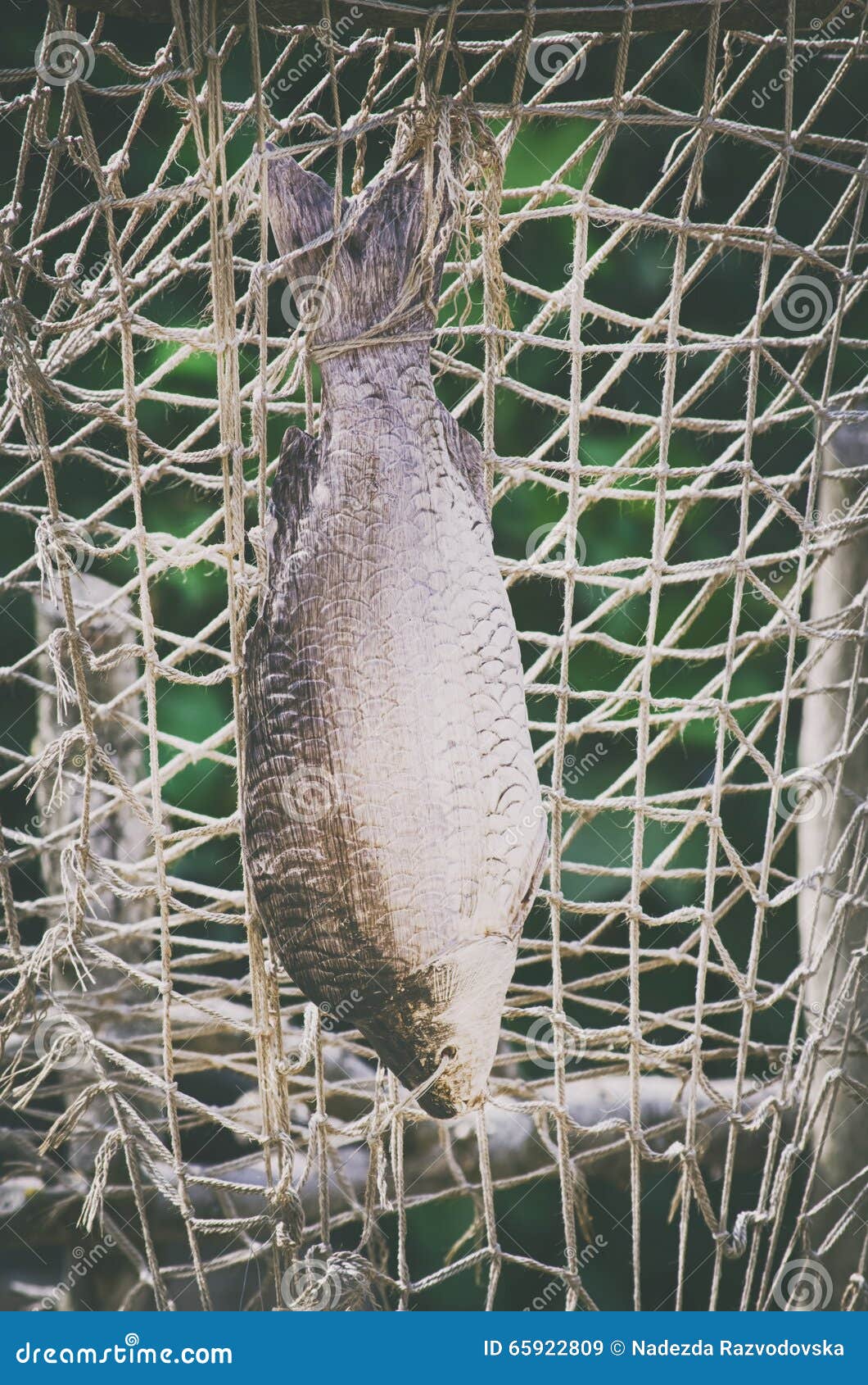 Dryed Cod Fish Royalty-Free Stock Photography | CartoonDealer.com #3906125