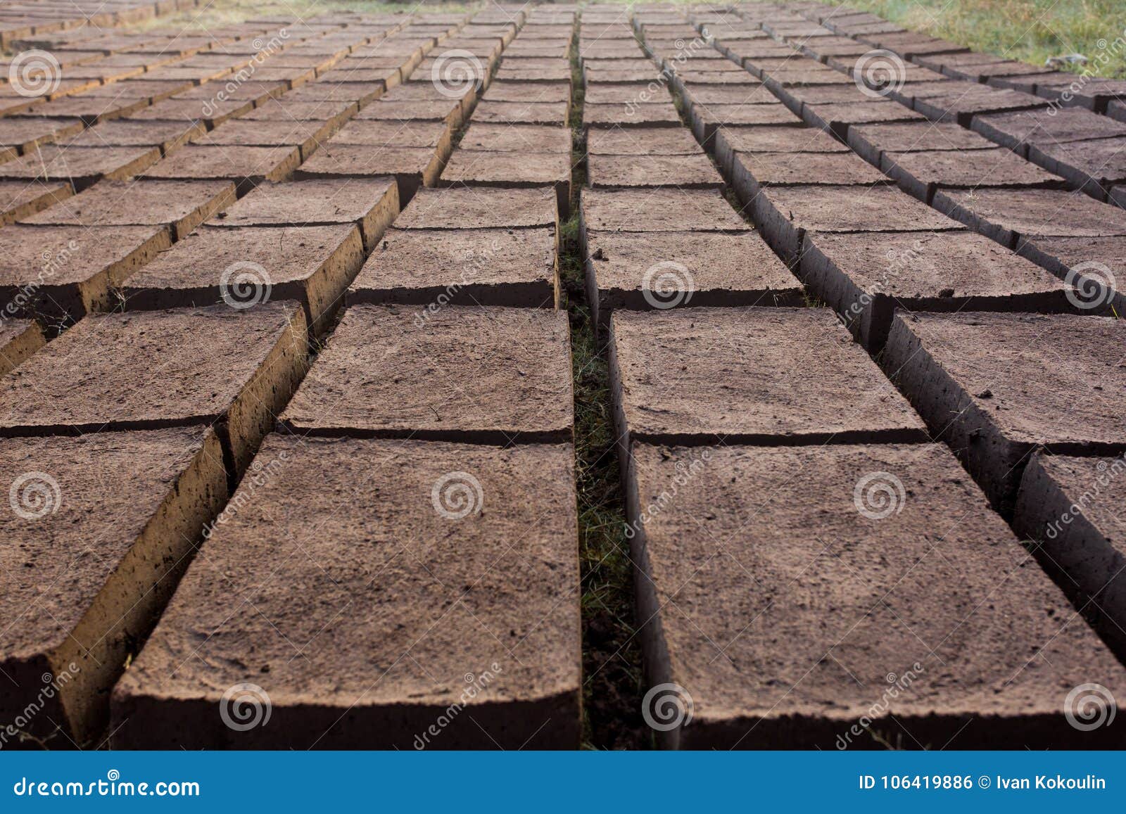 Drying adobe bricks stock photo. Image of handmade, making - 106419886