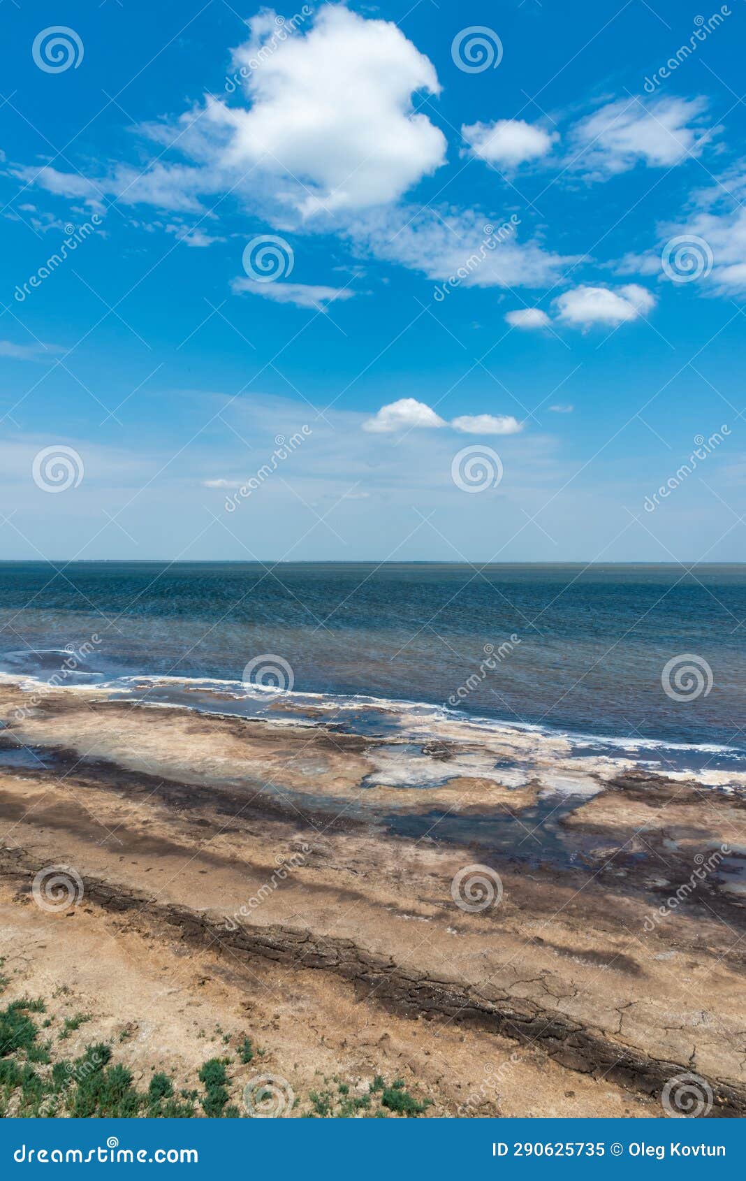 Drying Algae on the Shore, White Clouds Over the Shallowed Tuzla ...