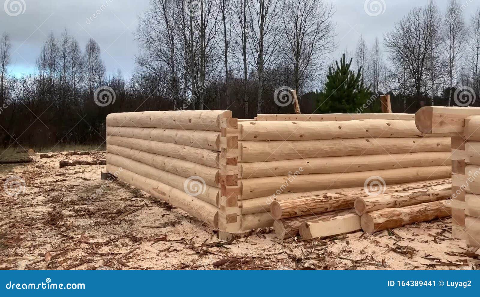 Drying and Assembly of Wooden Log House at a Construction Base ...