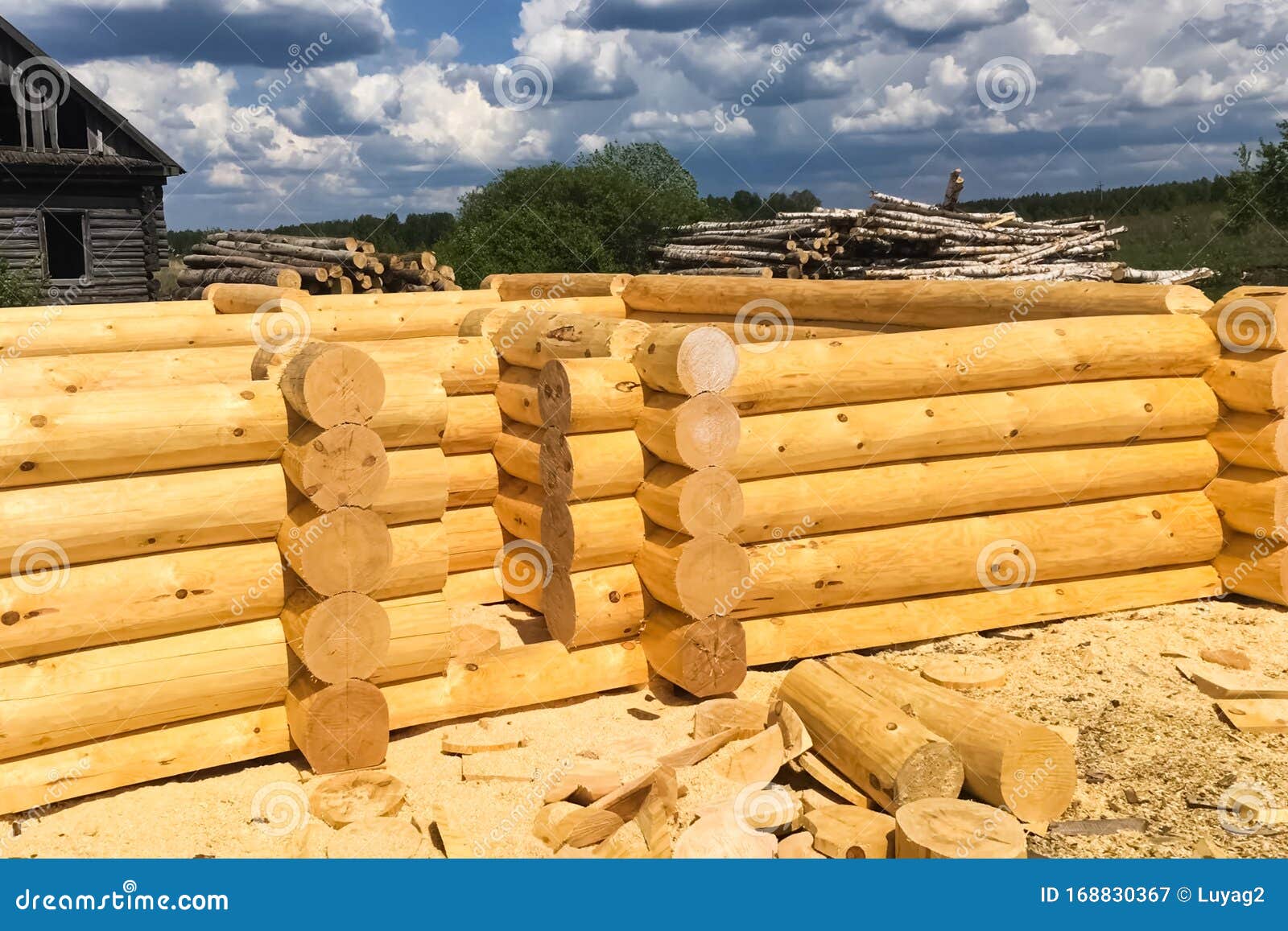 Drying and Assembly of Wooden Log House at a Construction Base Stock ...