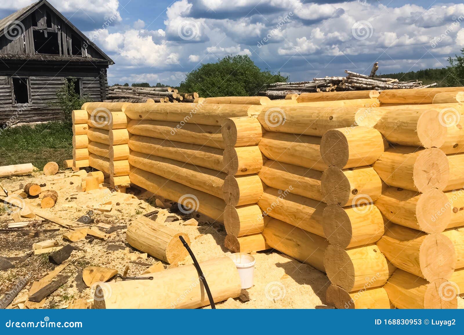 Drying and Assembly of Wooden Log House at a Construction Base Stock ...