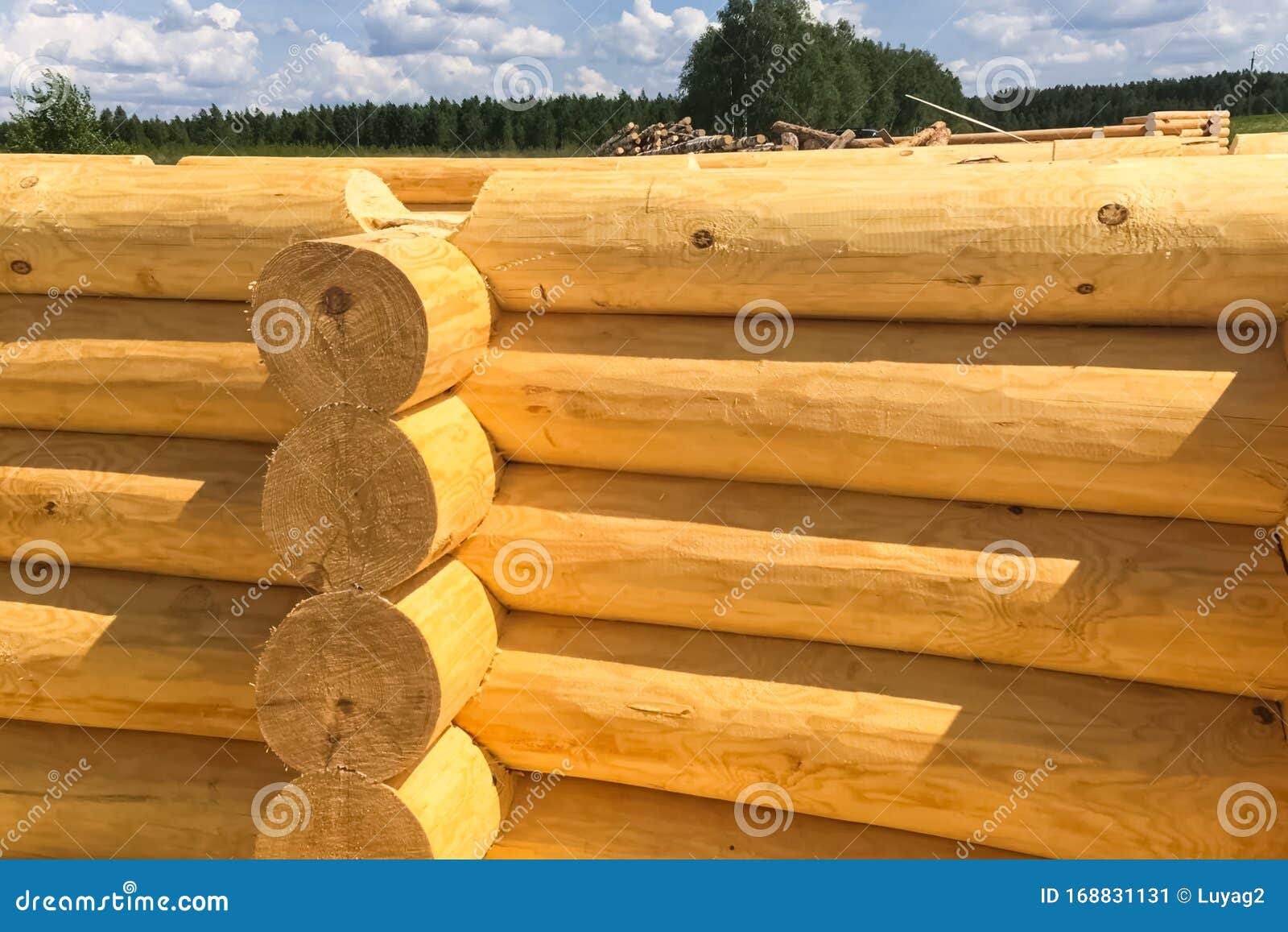 Drying and Assembly of Wooden Log House at a Construction Base Stock ...