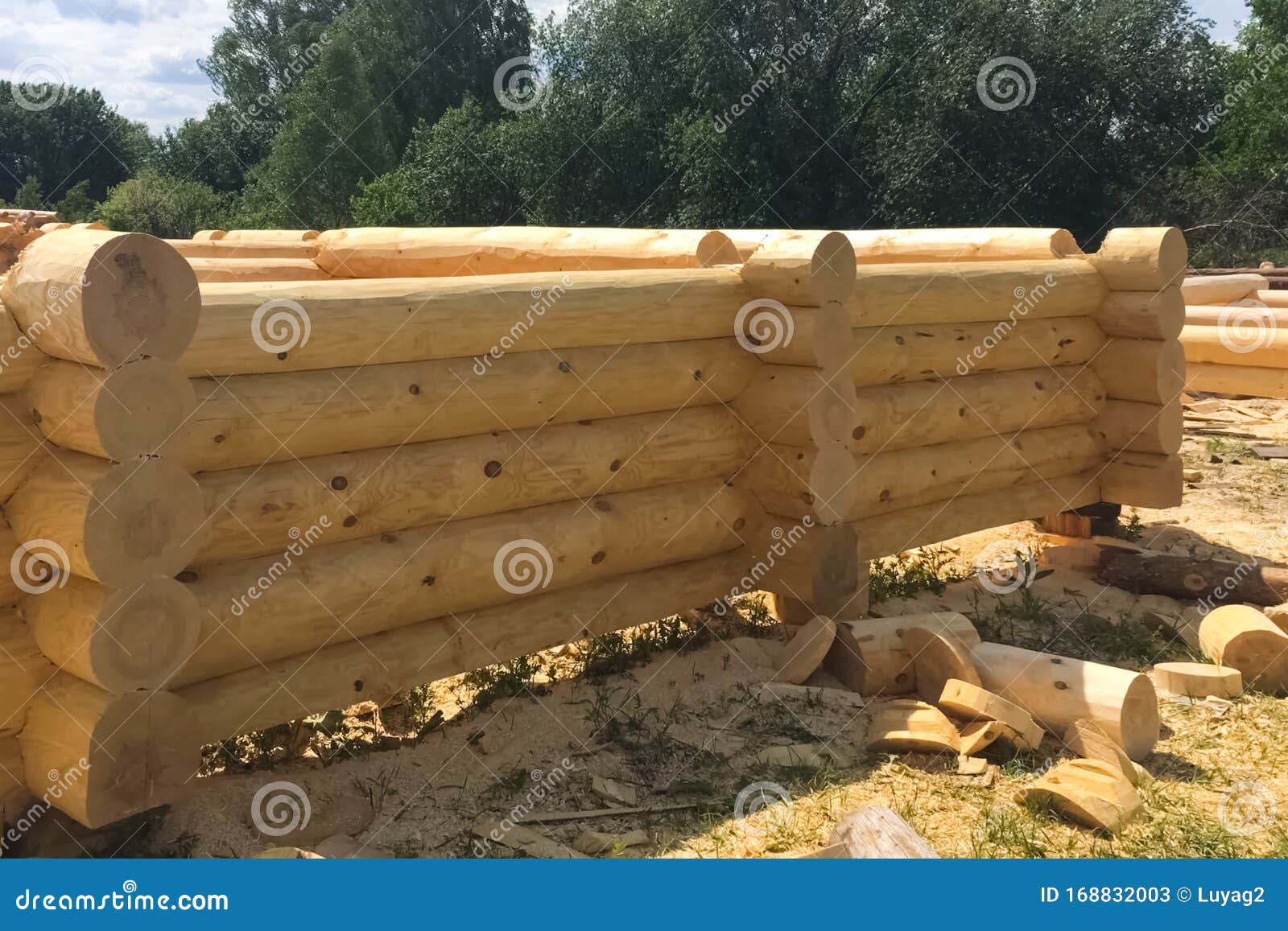 Drying and Assembly of Wooden Log House at a Construction Base Stock ...